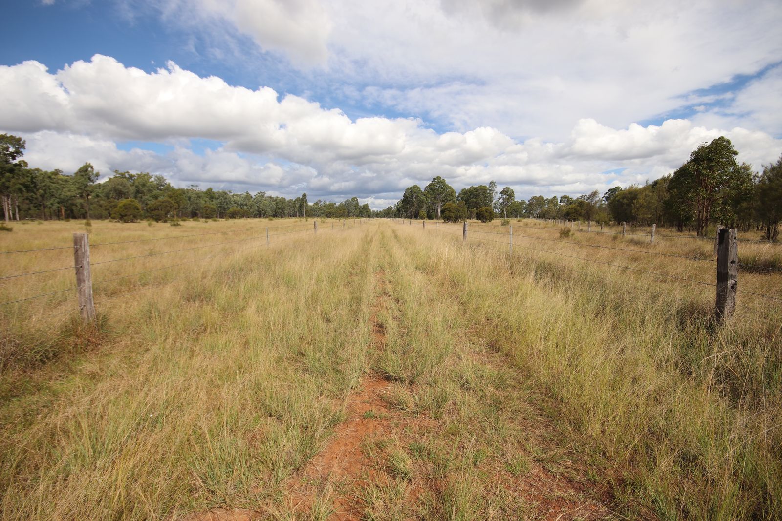 Ray White Rural & Livestock • 709 Nobbs Road, Burra Burri , Chinchilla ...