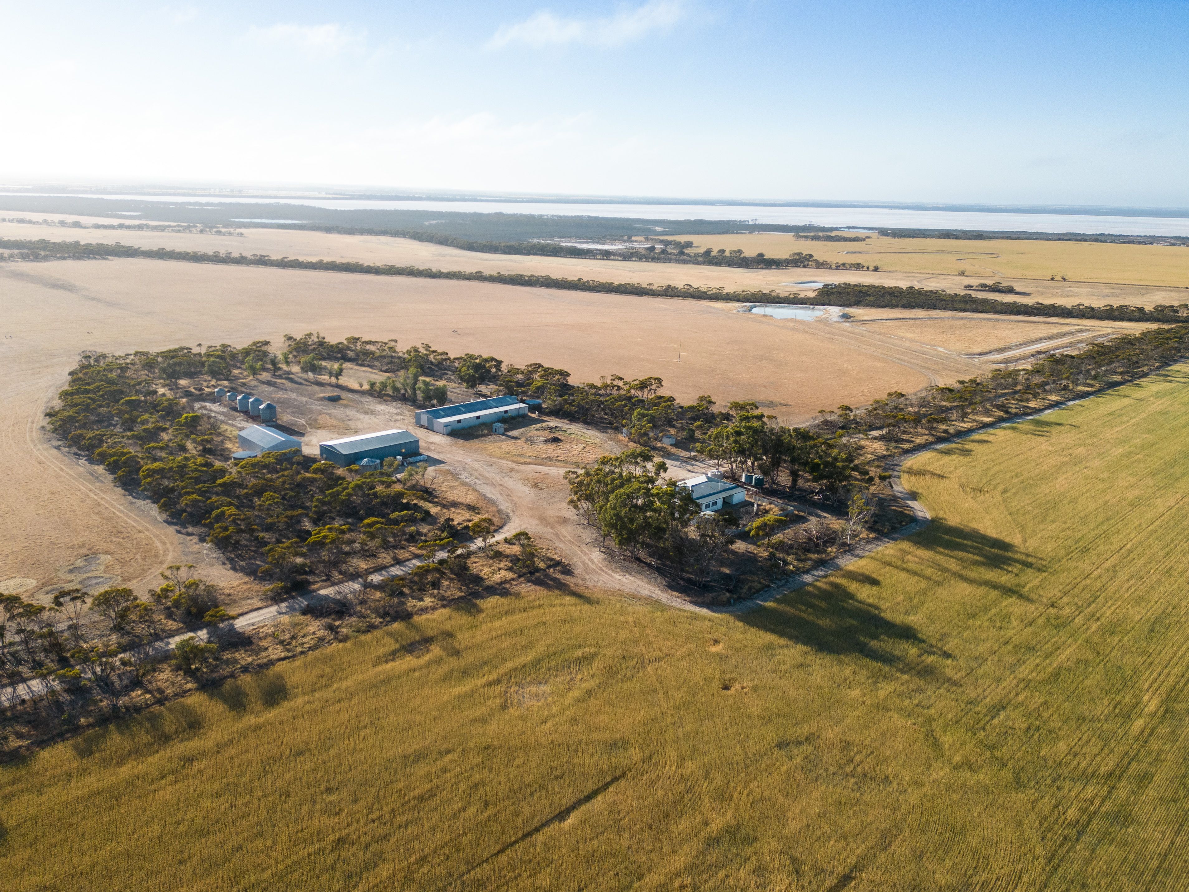 Ray White Rural (WA)