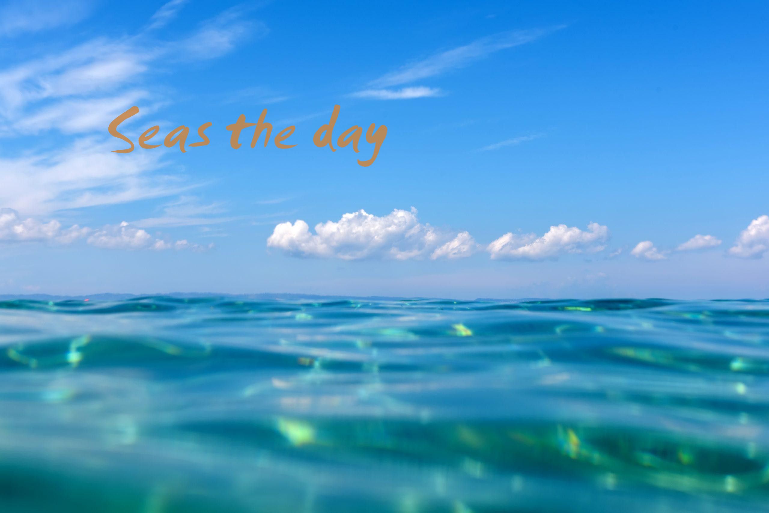 Homes for sale in Two Rocks - Ray White Northern Coast