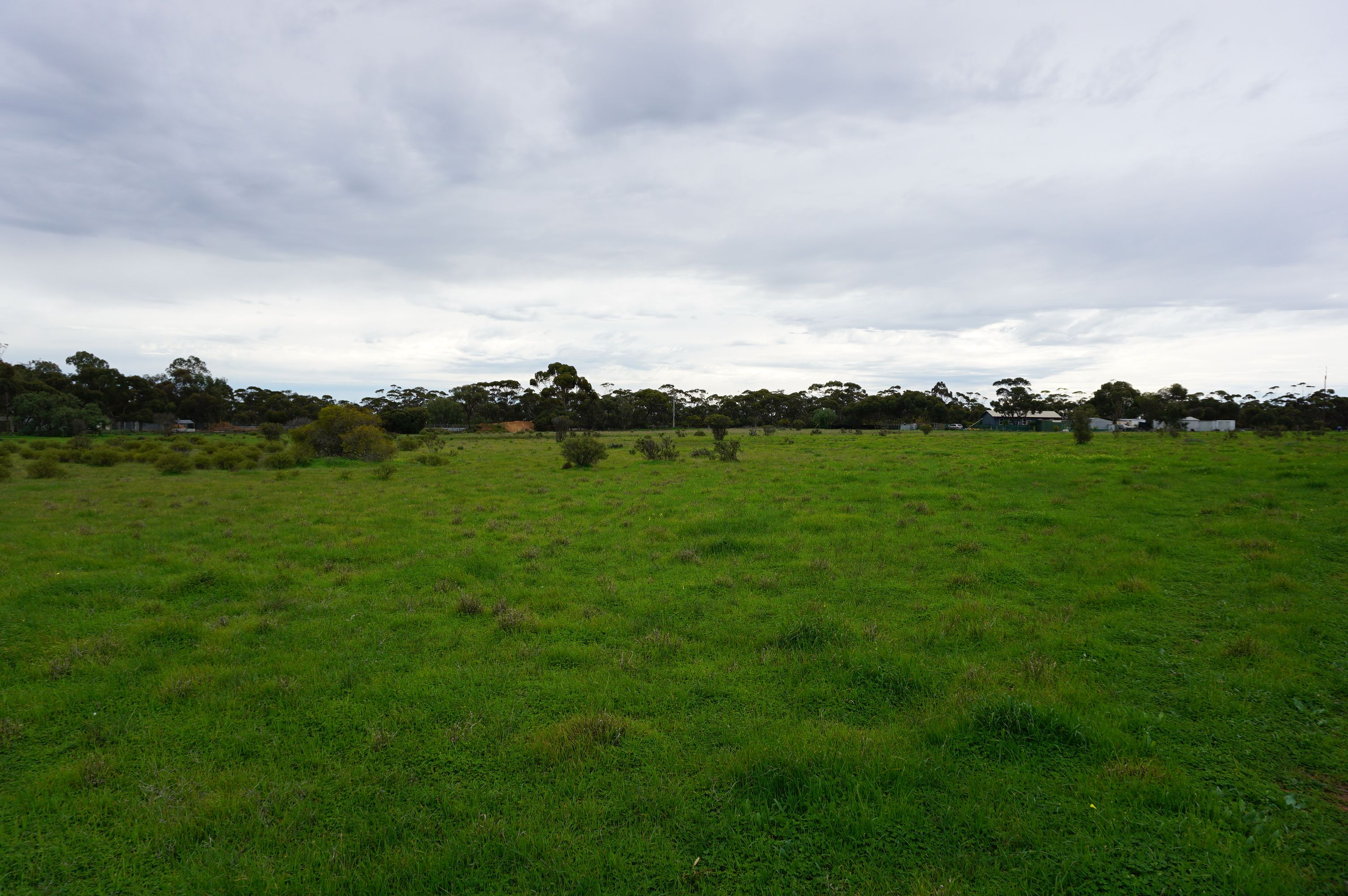 Ray White Clare Valley