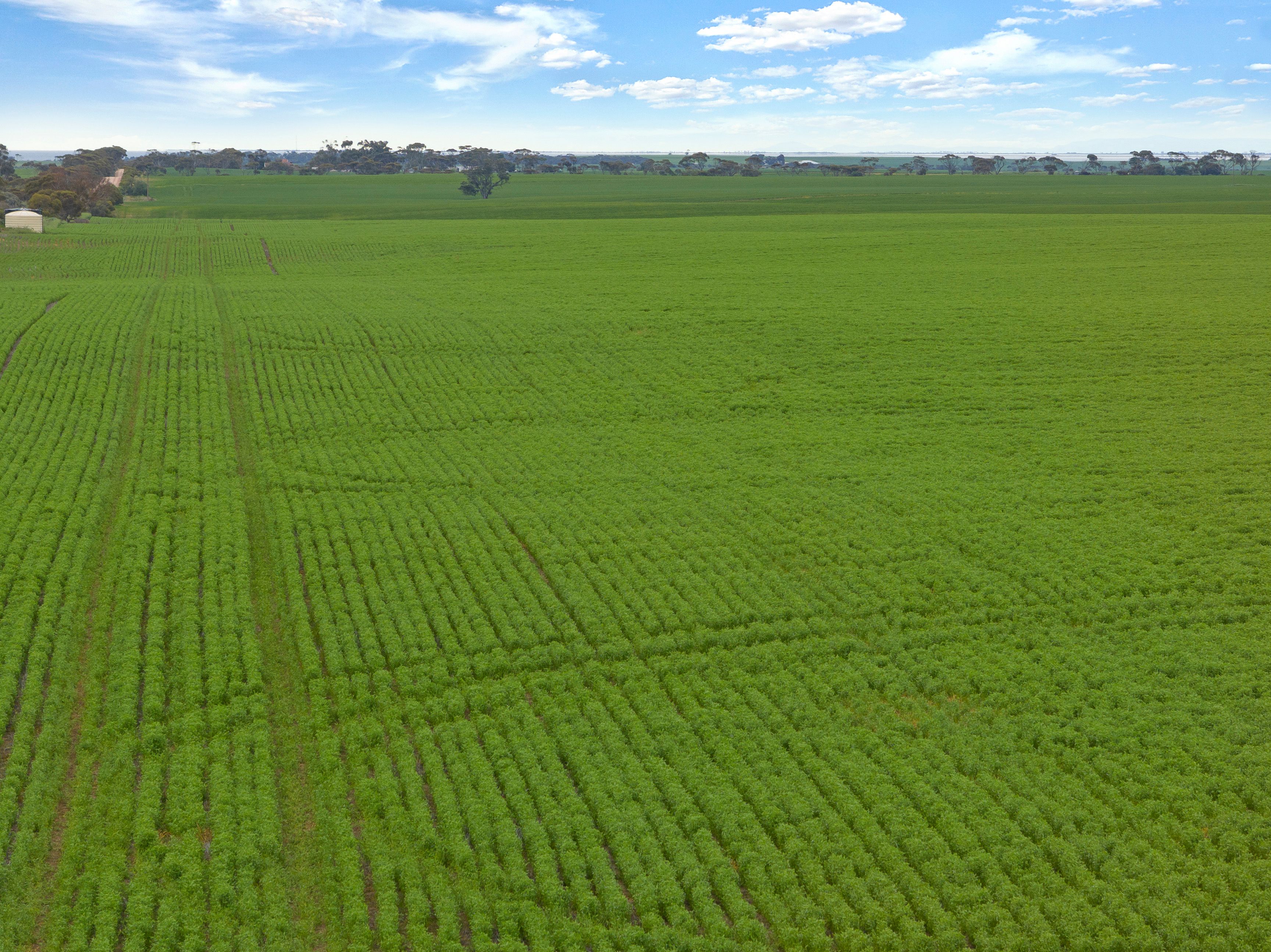 'Dollings' 975 Wards Hill Road, Ward Hill, SA 5522 - Sold Rural ...