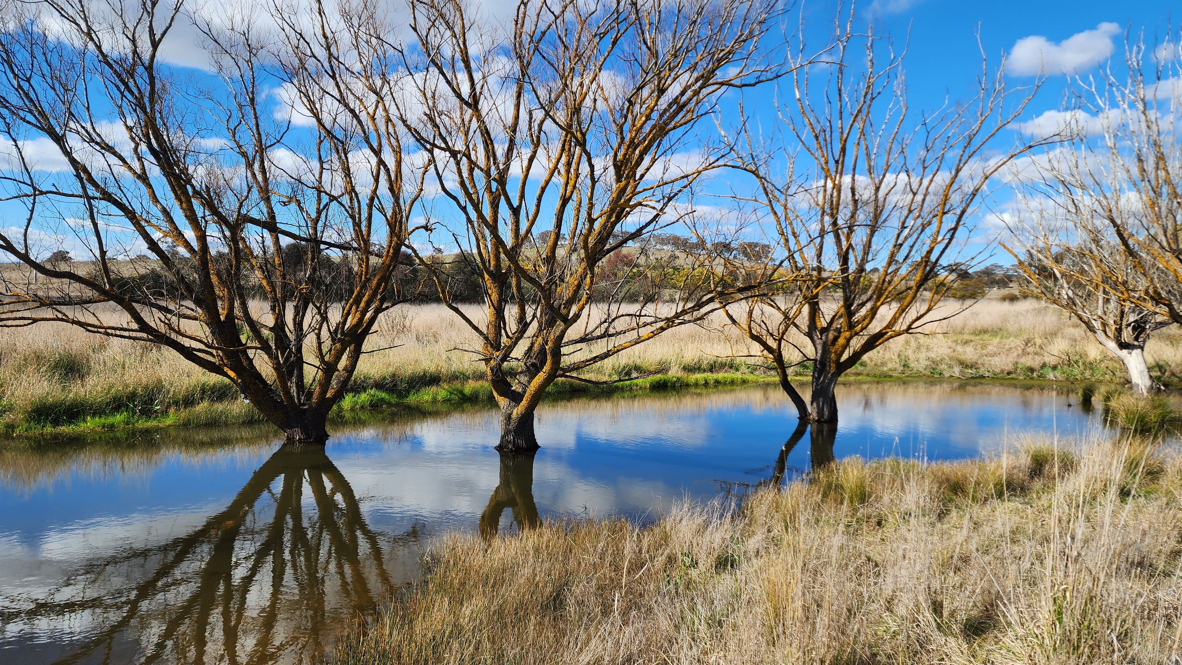 1076 Spring Range Road, Springrange, NSW 2618 - Sold House - Ray White ...