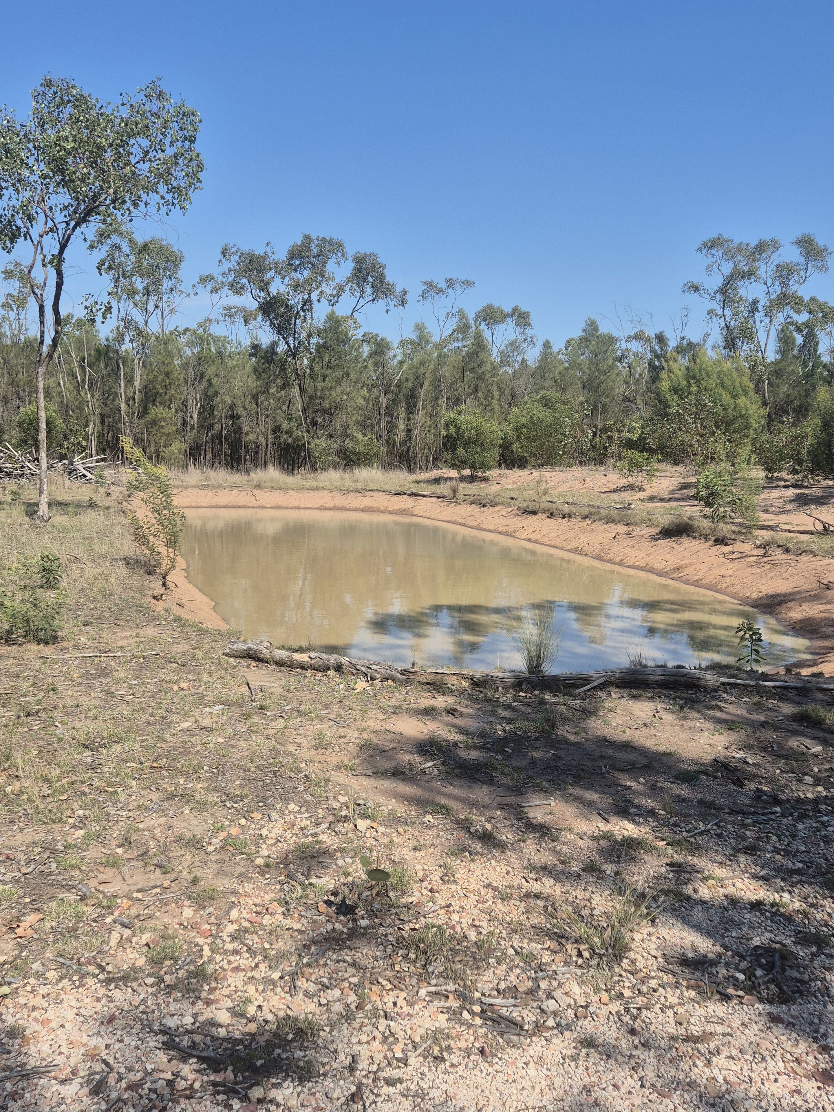 298 Fagans Road, Tara, QLD 4421 - Sold Land - Ray White Rural Tara