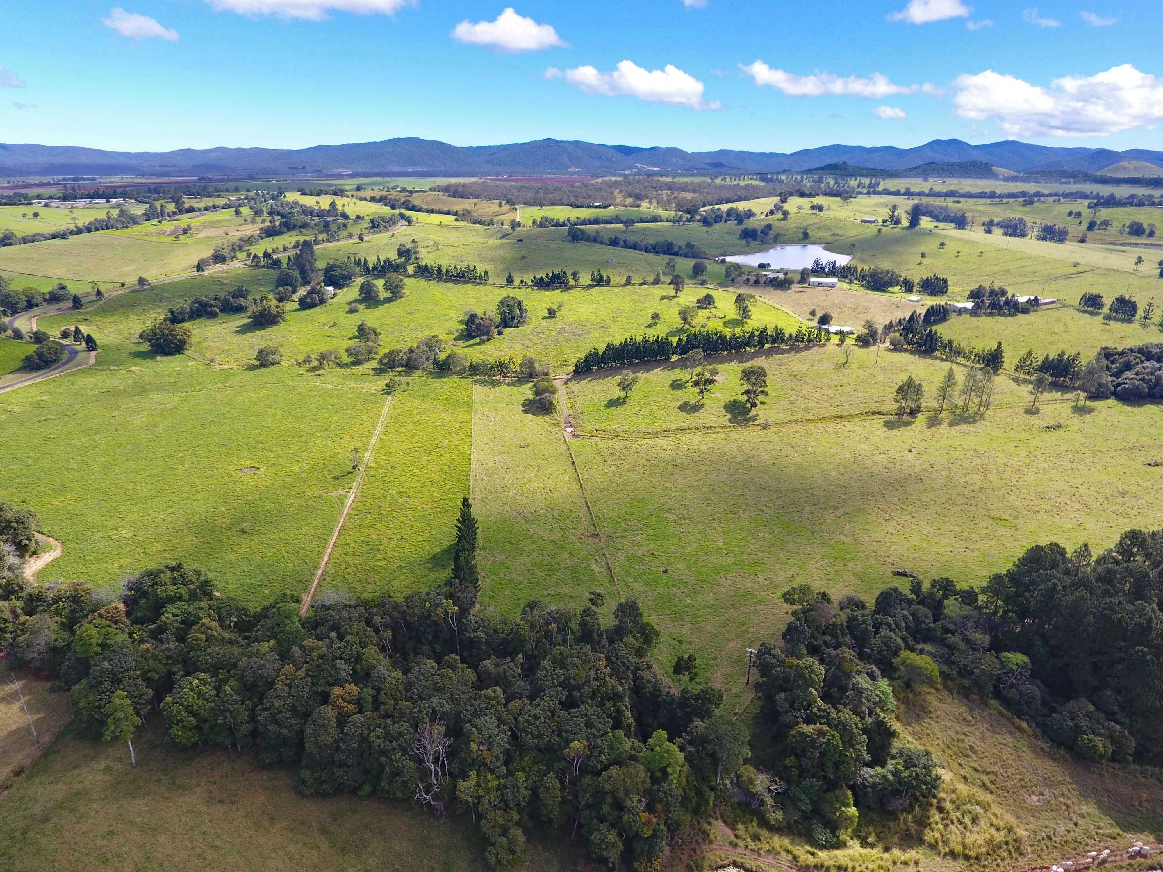 128 Andrickson Road, Upper Barron, QLD 4883 - Sold Rural Property - Ray ...