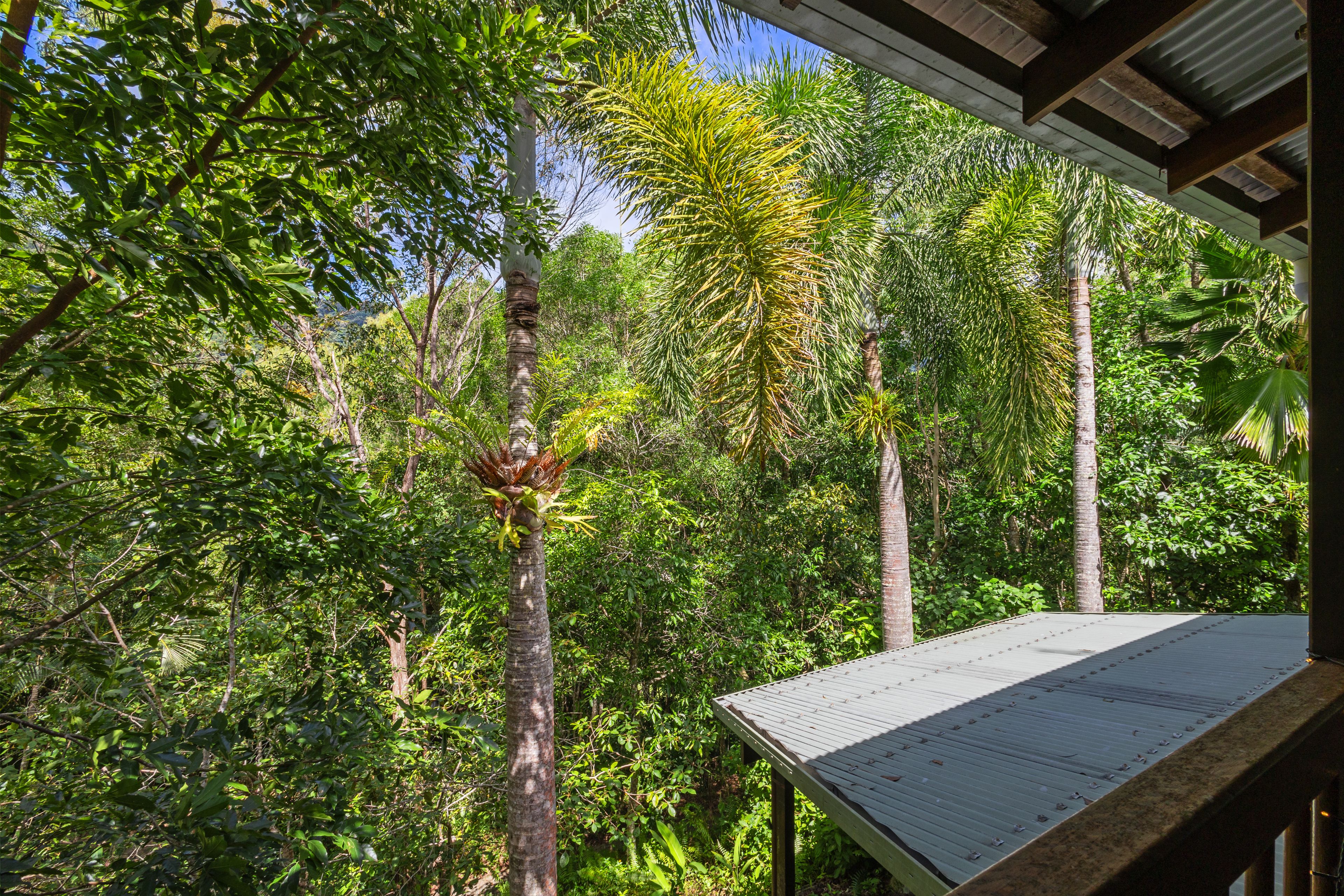 36B Grays Creek Terrace, Mowbray, QLD 4877 - Sold House - Ray White ...