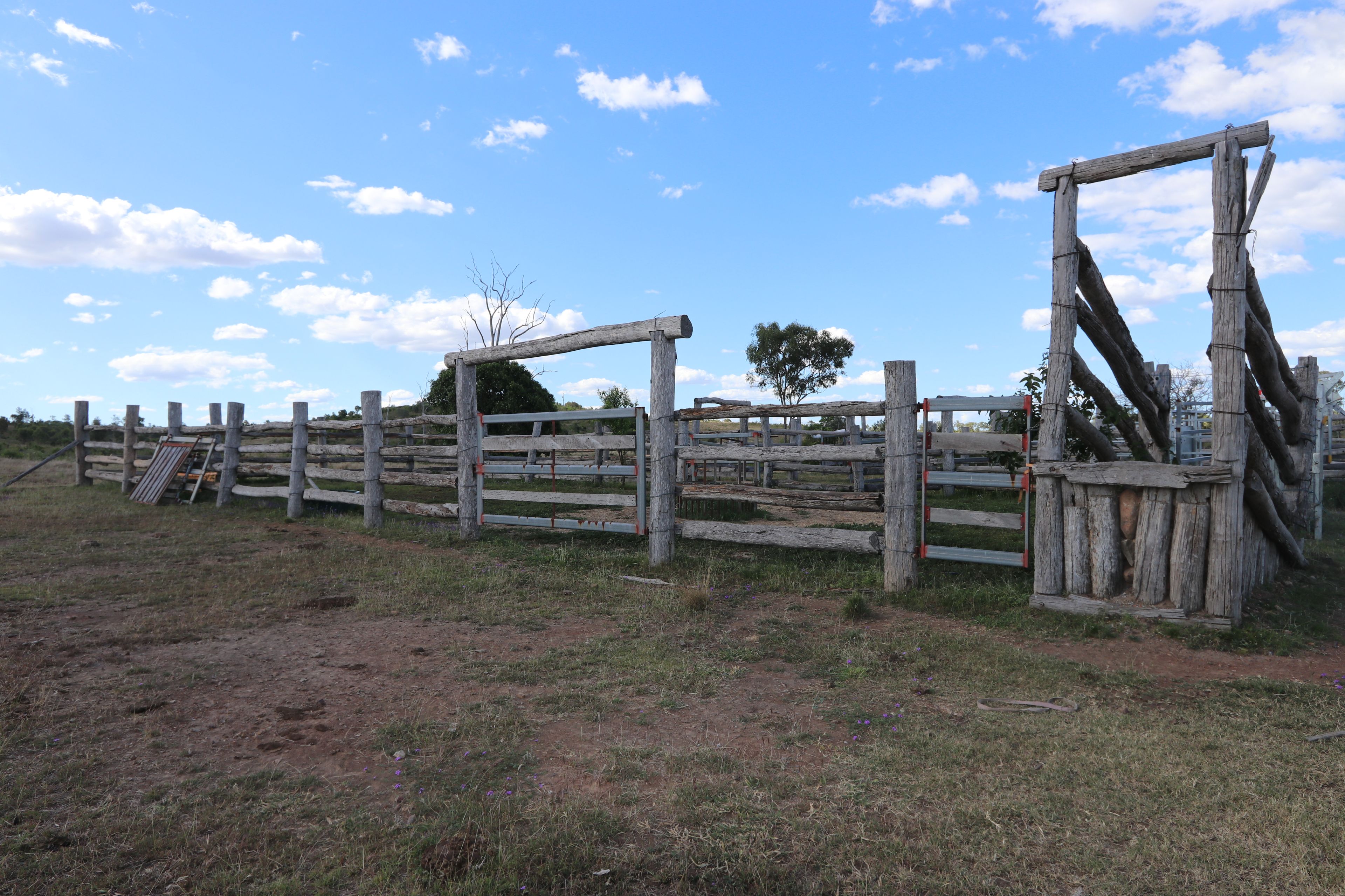 0 Dalma - Ridgelands Road, Ridgelands, QLD 4702 - Sold Rural Property ...