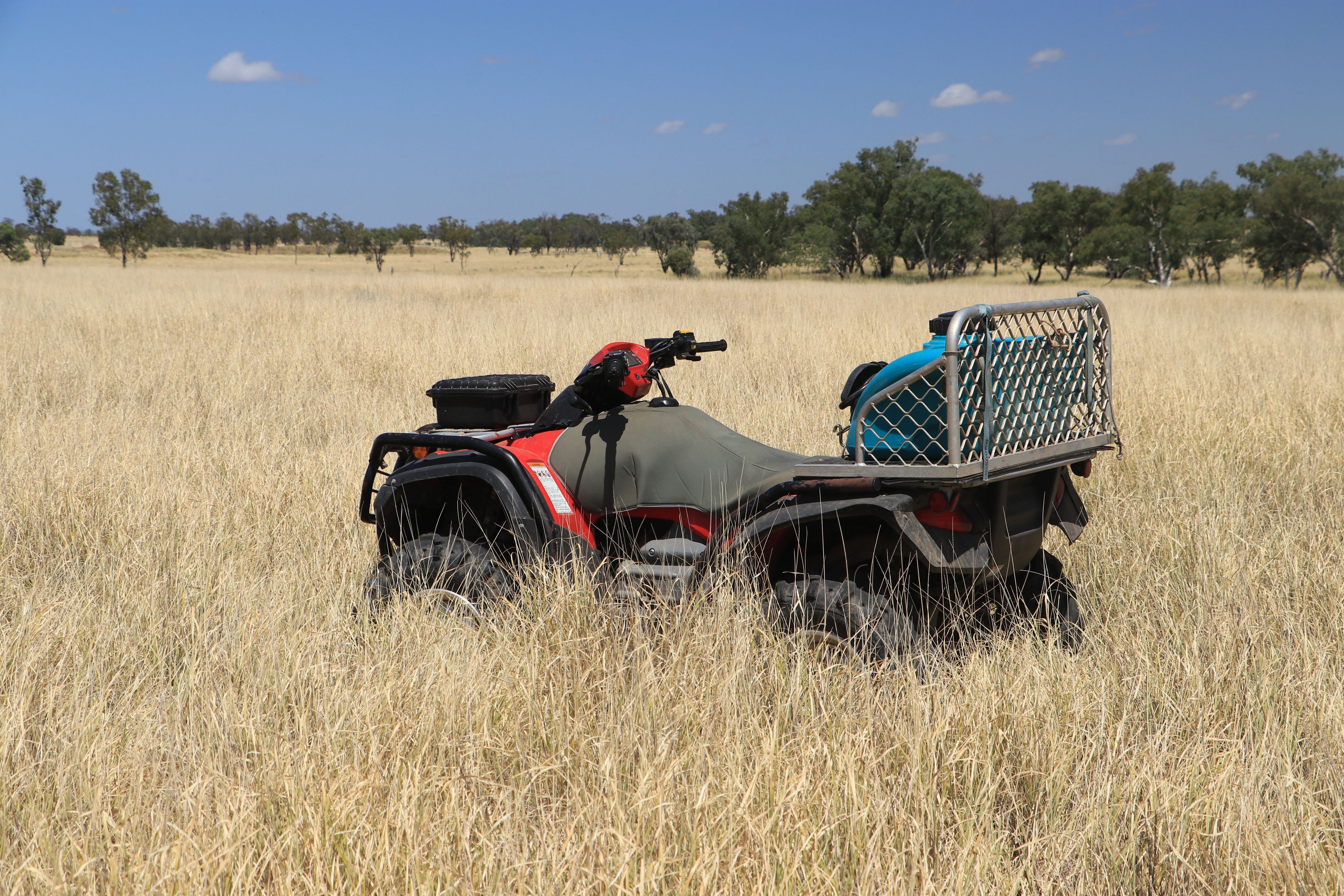 Ray White Rural Roma