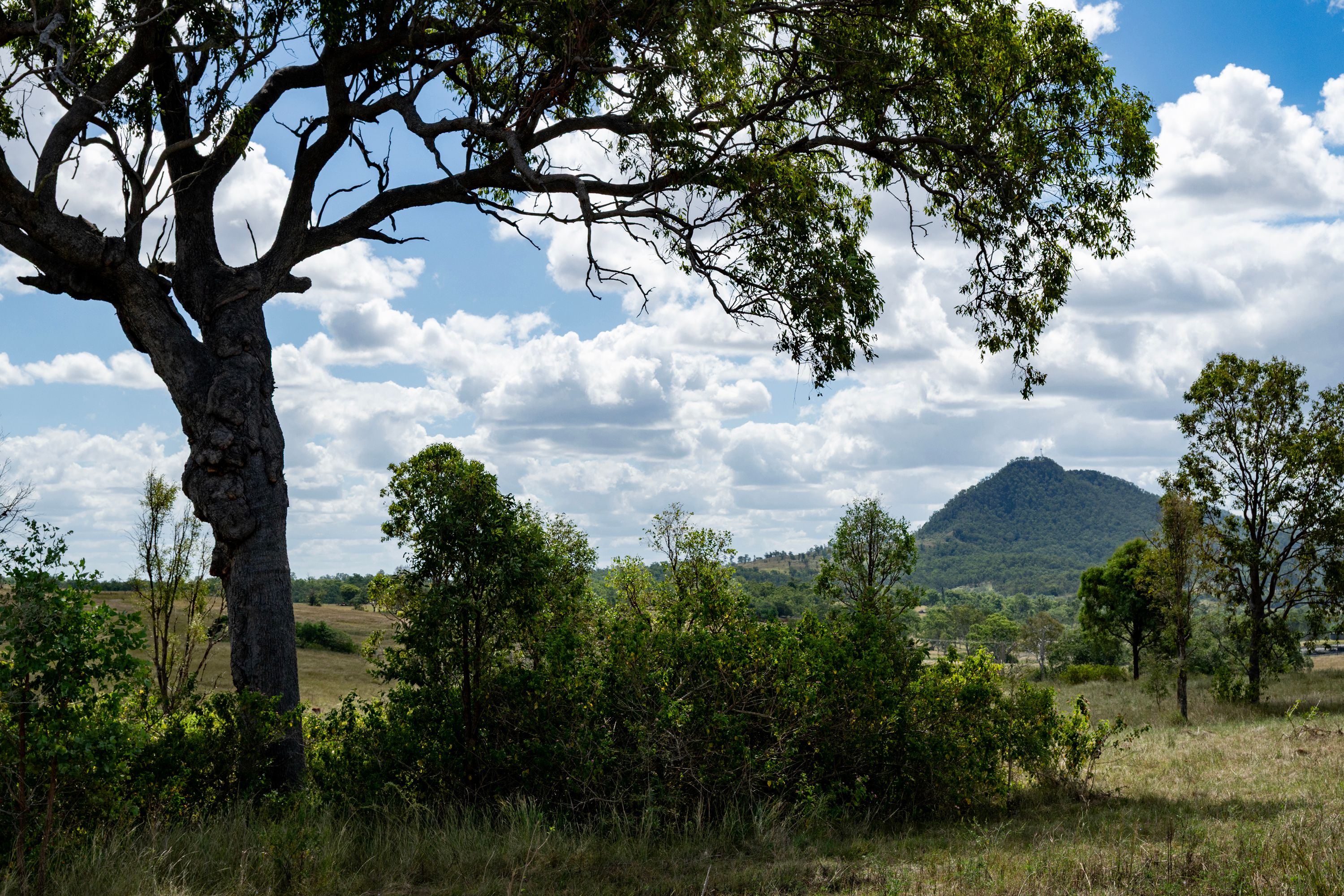 2584 Rosewood-Warrill View Road, Coleyville, QLD 4307 - Sold Rural ...