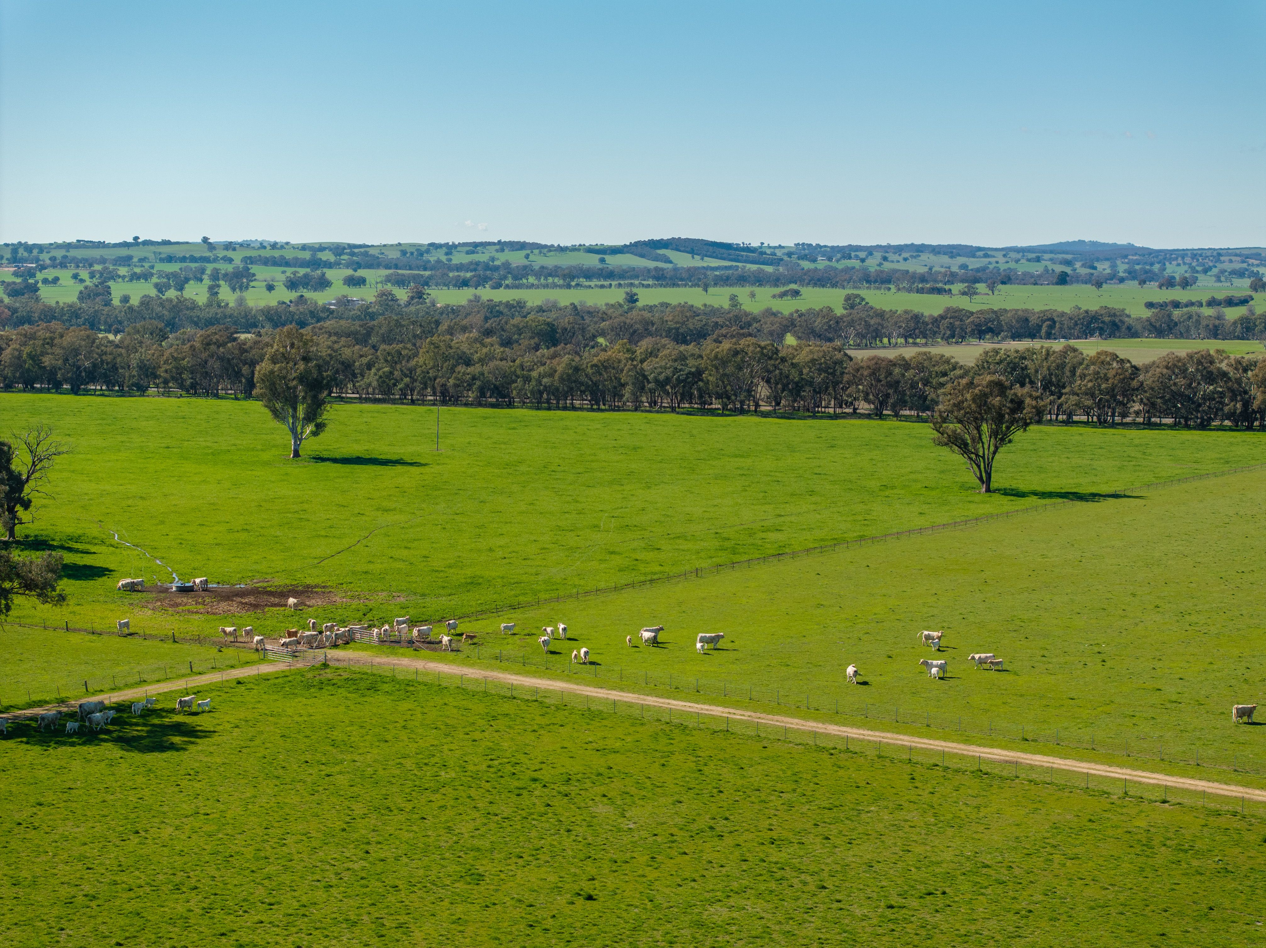 "Ellambah" - 2018 Henty Cookardinia Road, Cookardinia, NSW 2650 - Sold ...