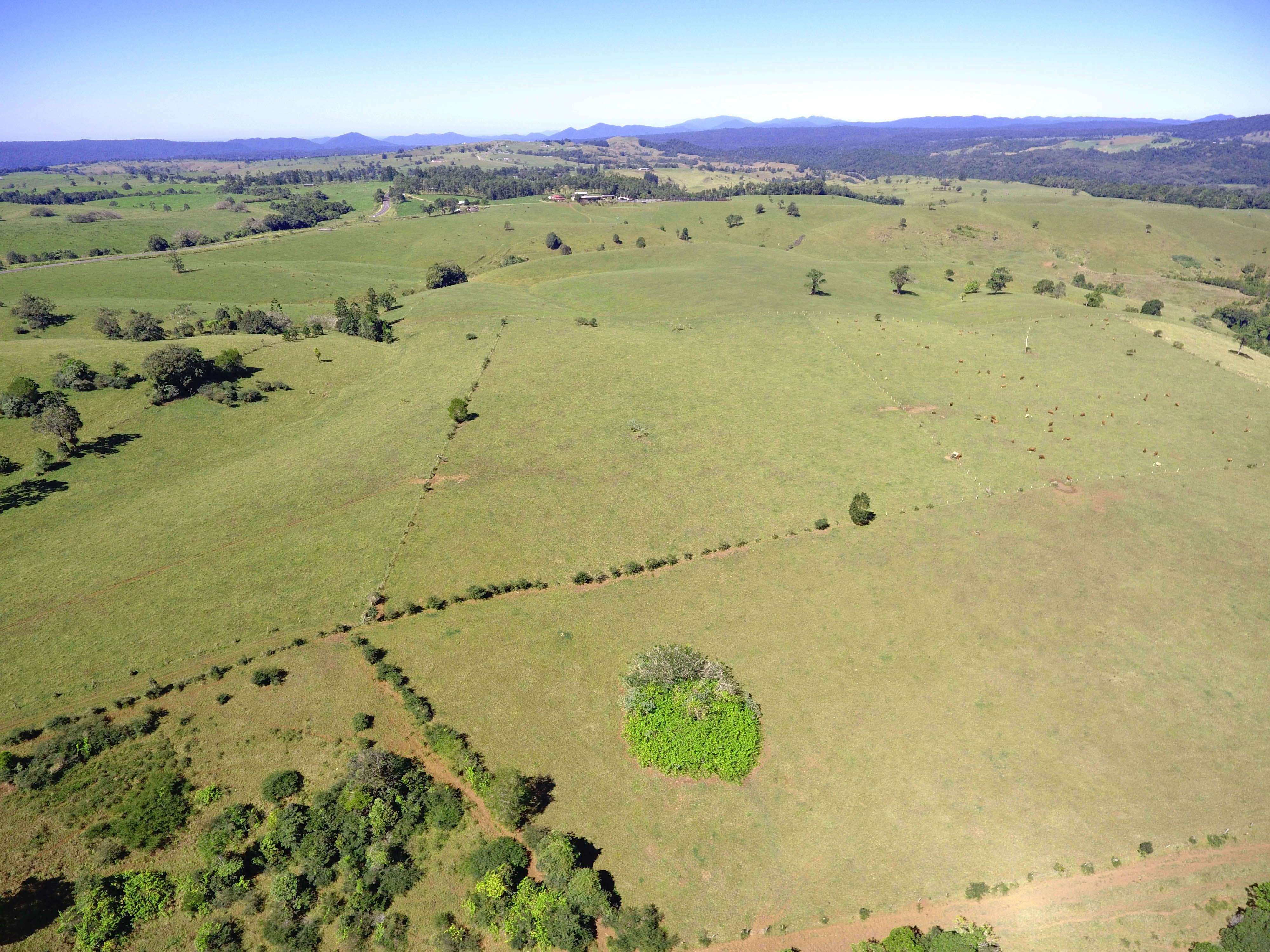 Millaa Millaa, QLD 4886 - Rural Lifestyle Property for Sale - Ray White ...
