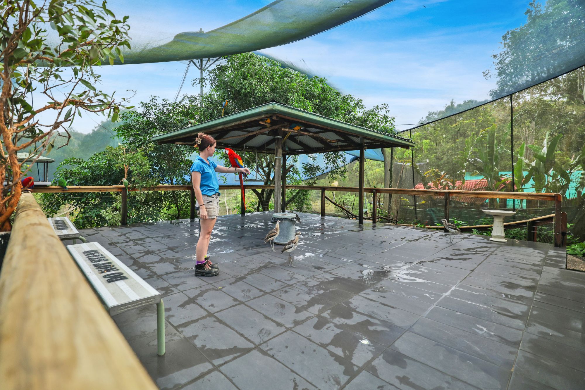 2-4 Rob Veivers Drive, Kuranda, QLD 4881 - Hotel/Leisure for Sale - RWC ...