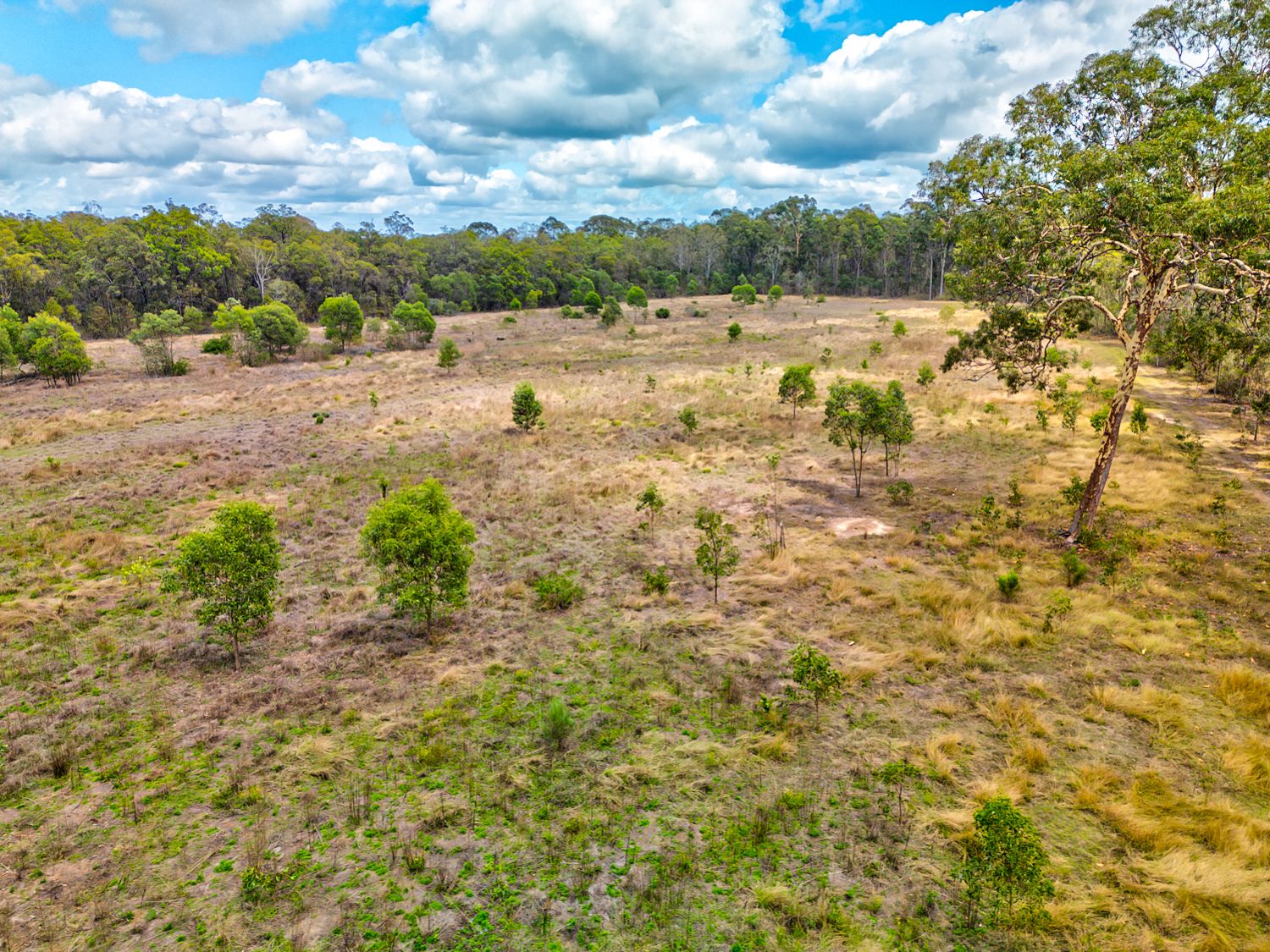 214 MALMBORG Road, Coominya, QLD 4311 - Sold Land - Ray White Lowood Qld
