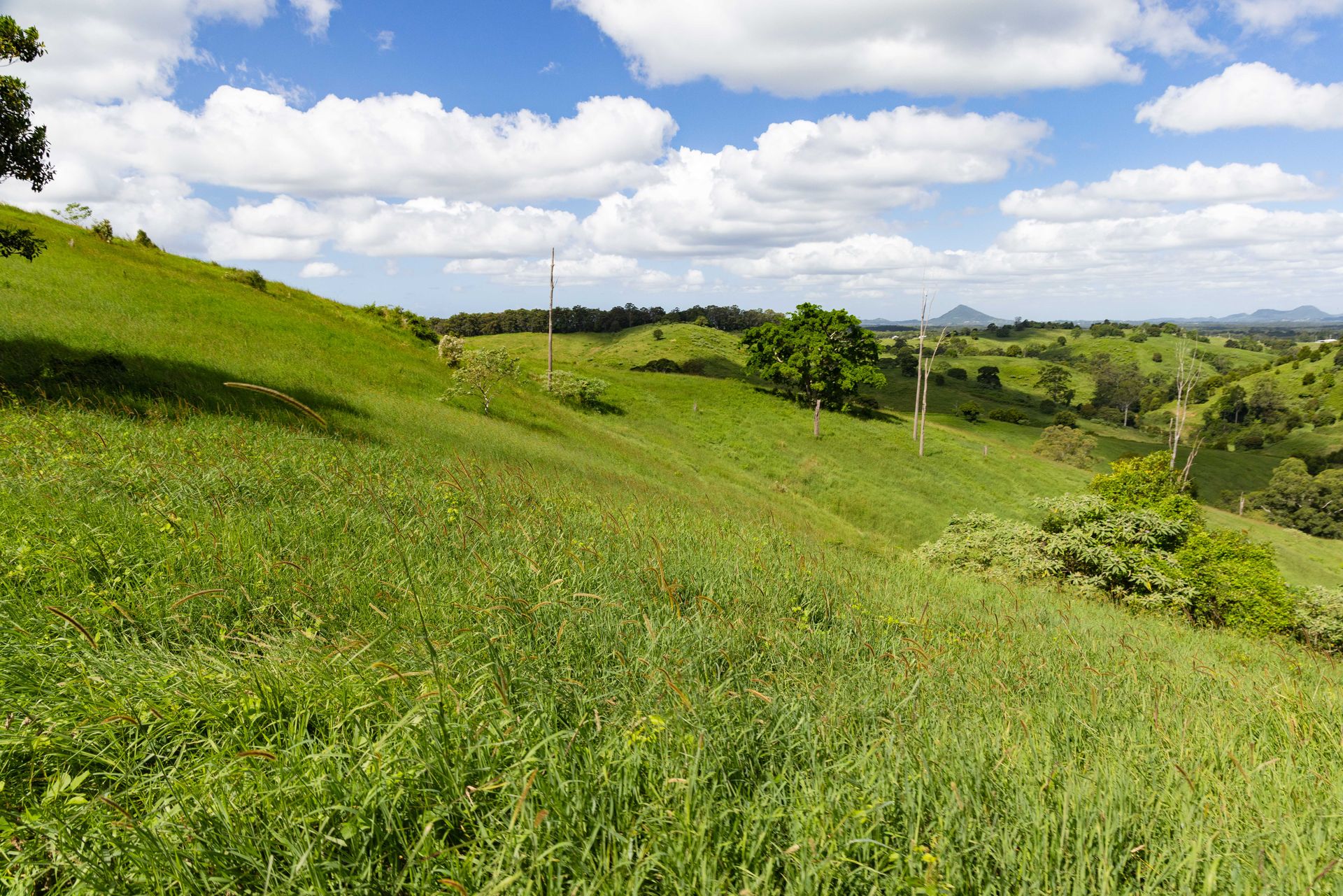 Ray White Rural & Livestock • , Cootharaba, QLD – Home For Sale