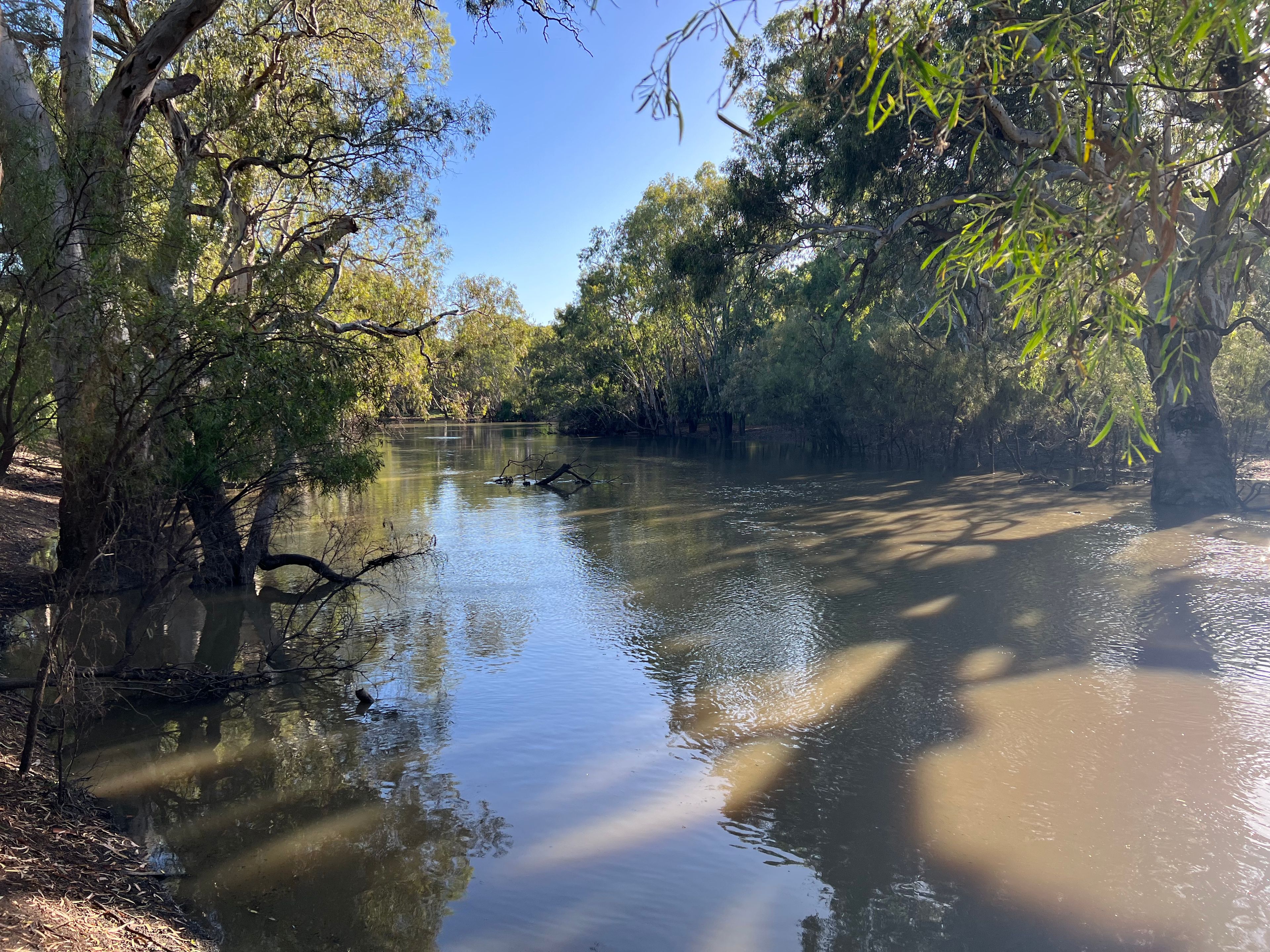 139 Billabong Creek Drive, Conargo, NSW 2710 - Sold Land - Ray White ...