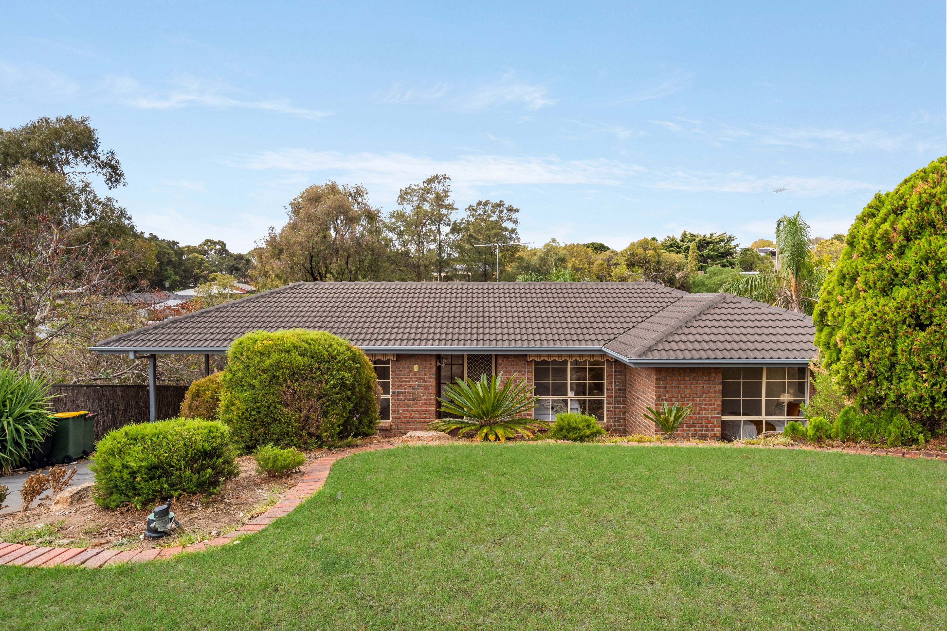 Ray White Prospect