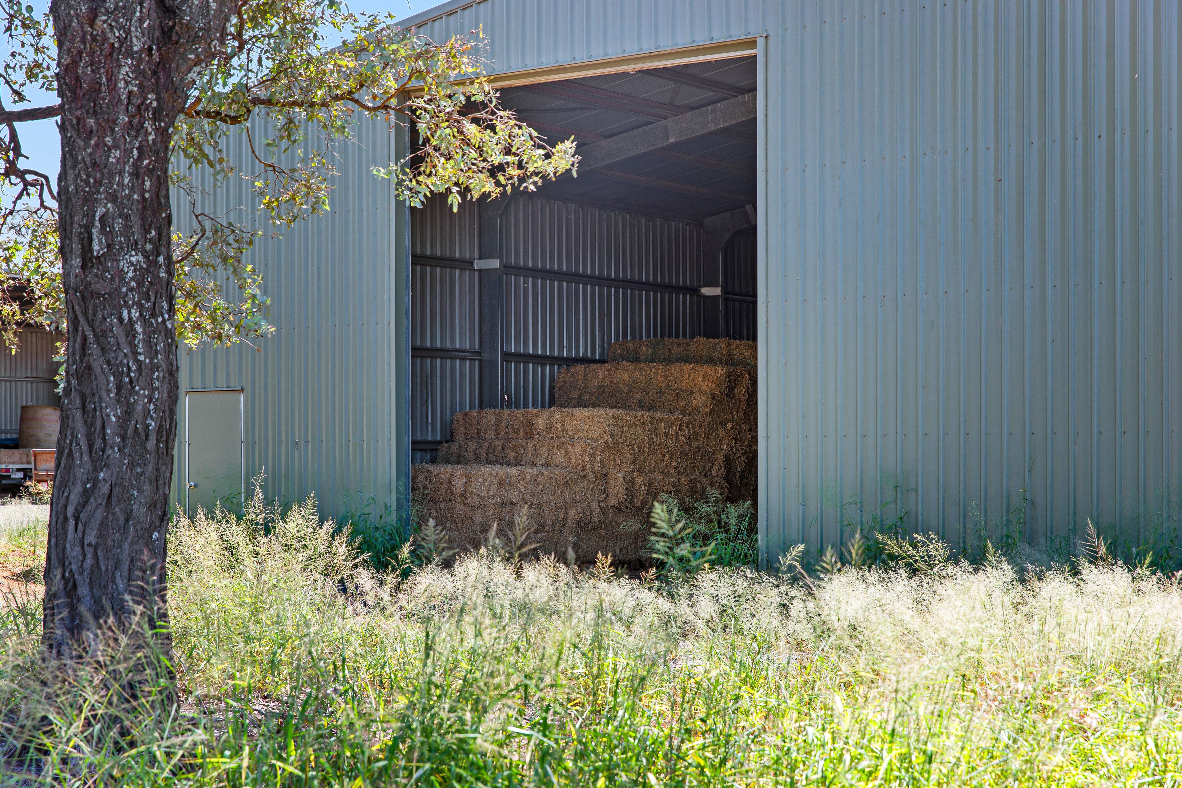 339 Biddeston Southbrook Road, Biddeston, QLD 4401 - Sold Rural ...