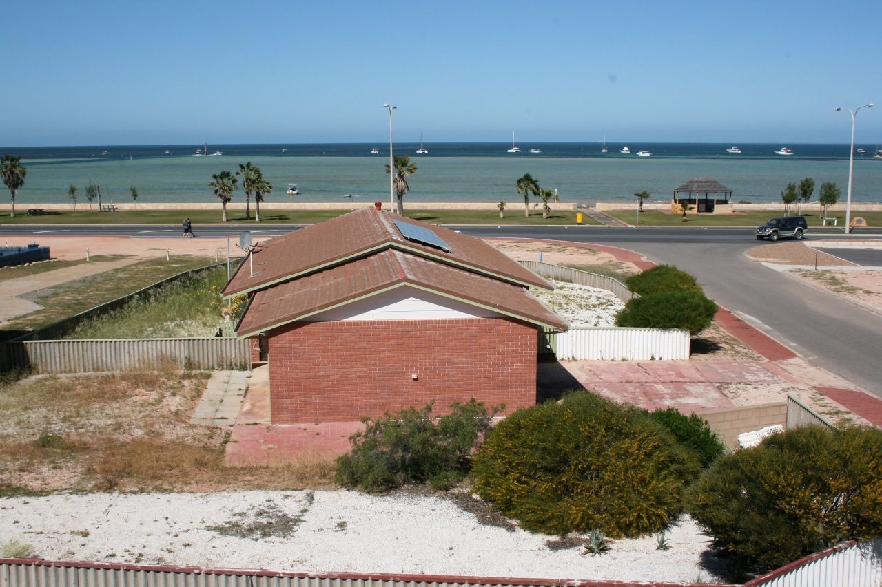Ray White Shark Bay