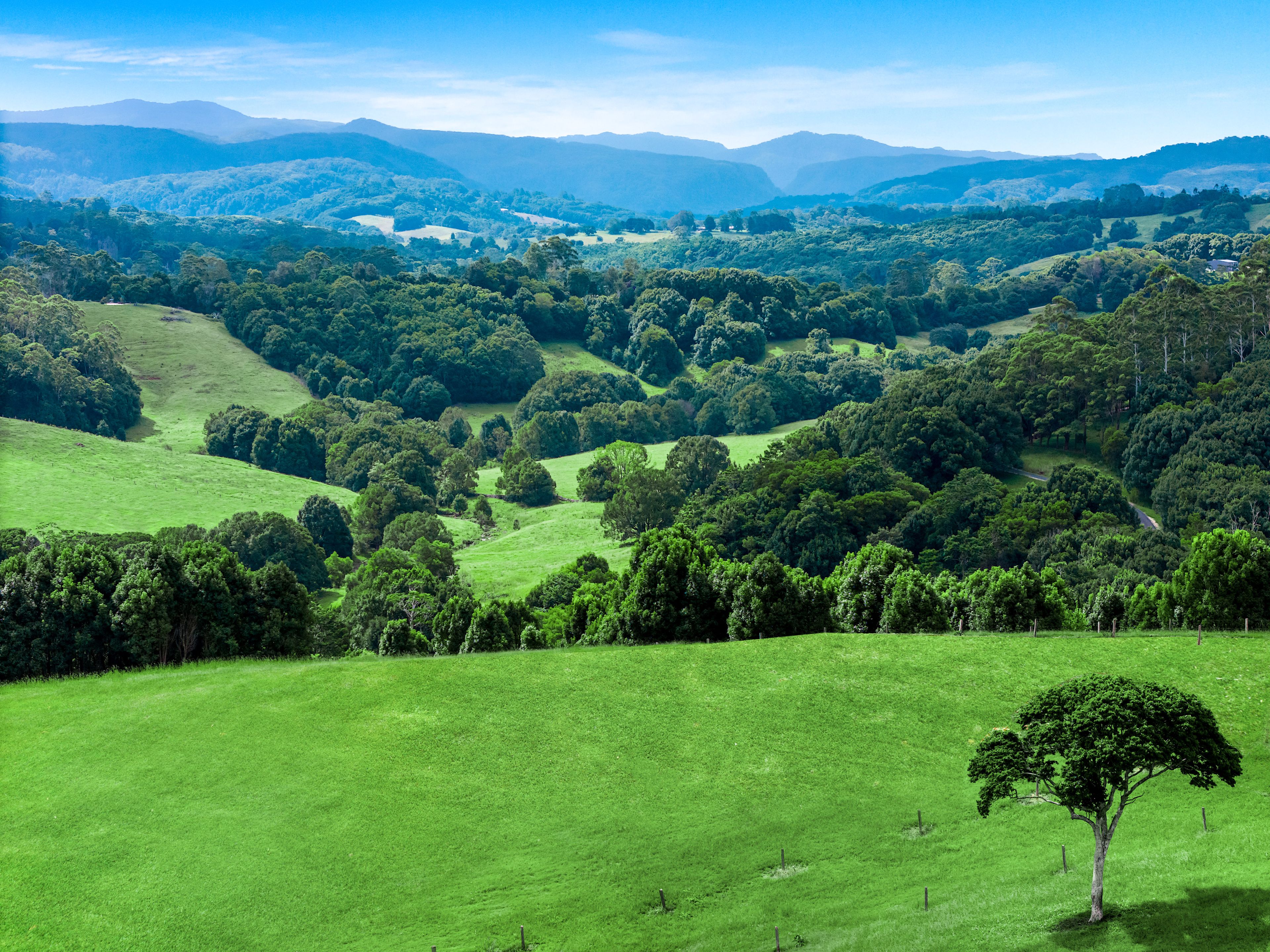 149 Federal Drive, Eureka, NSW – Home For Sale • Ray White