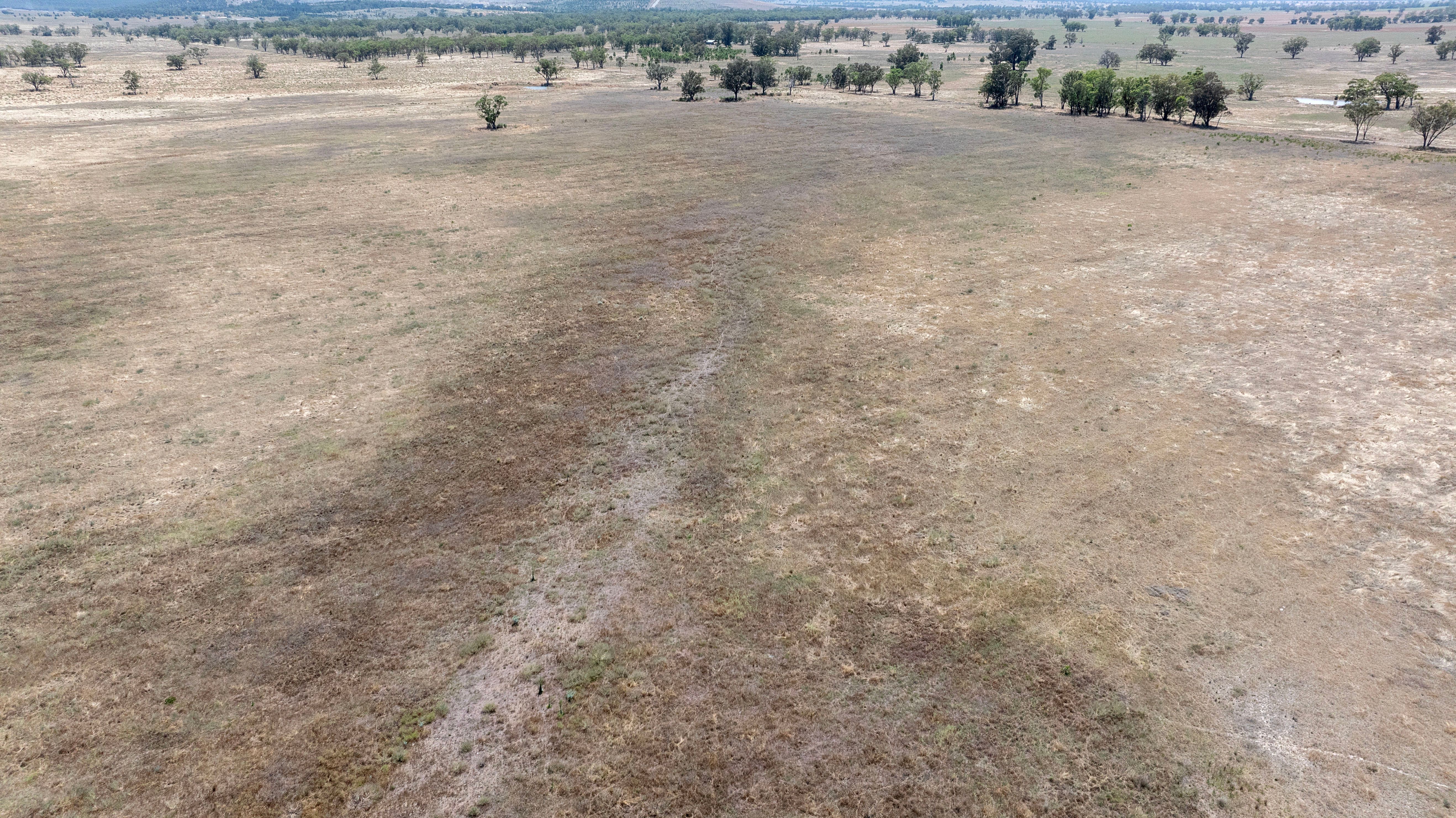 Boggabri, NSW 2382 - Commercial Farming for Lease - Ray White Fleming ...