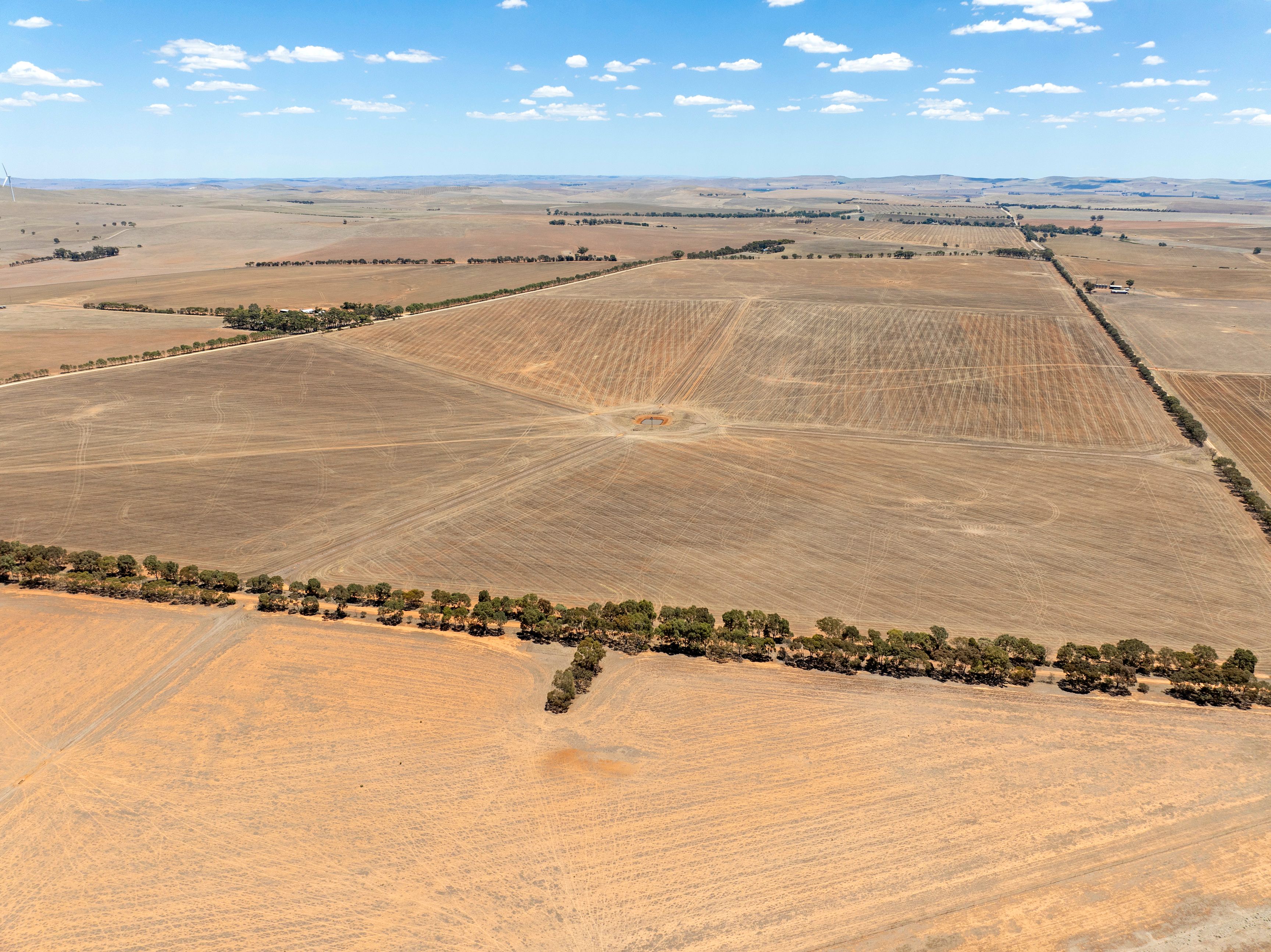 'Richards' & 'Beckwiths', MOUNT BRYAN, SA 5418 - Sold Rural Cropping ...