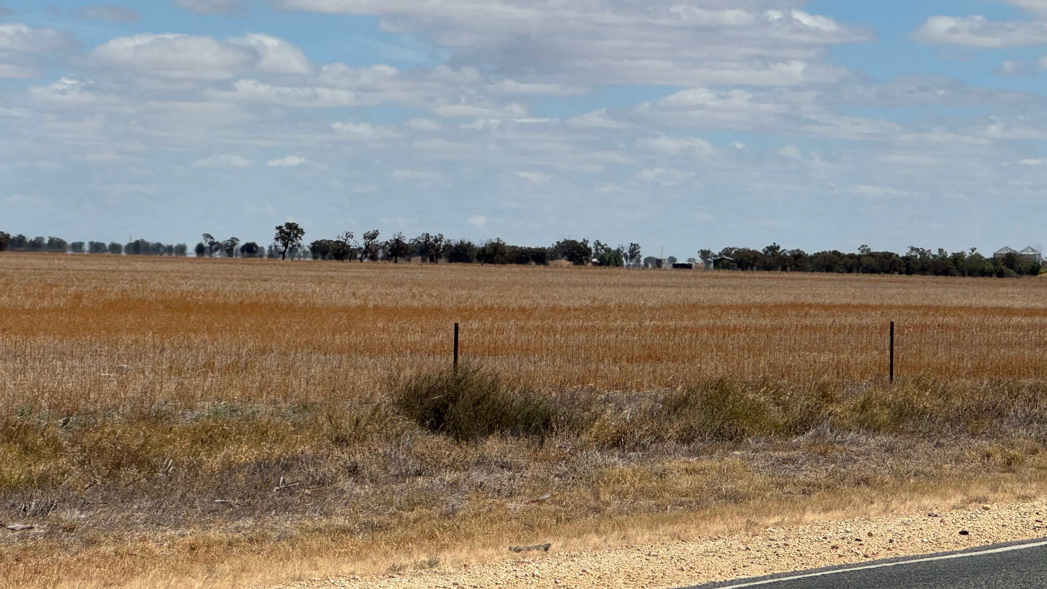 Birchip- Corack Road, Birchip, VIC 3483 - Sold Rural Cropping Property ...