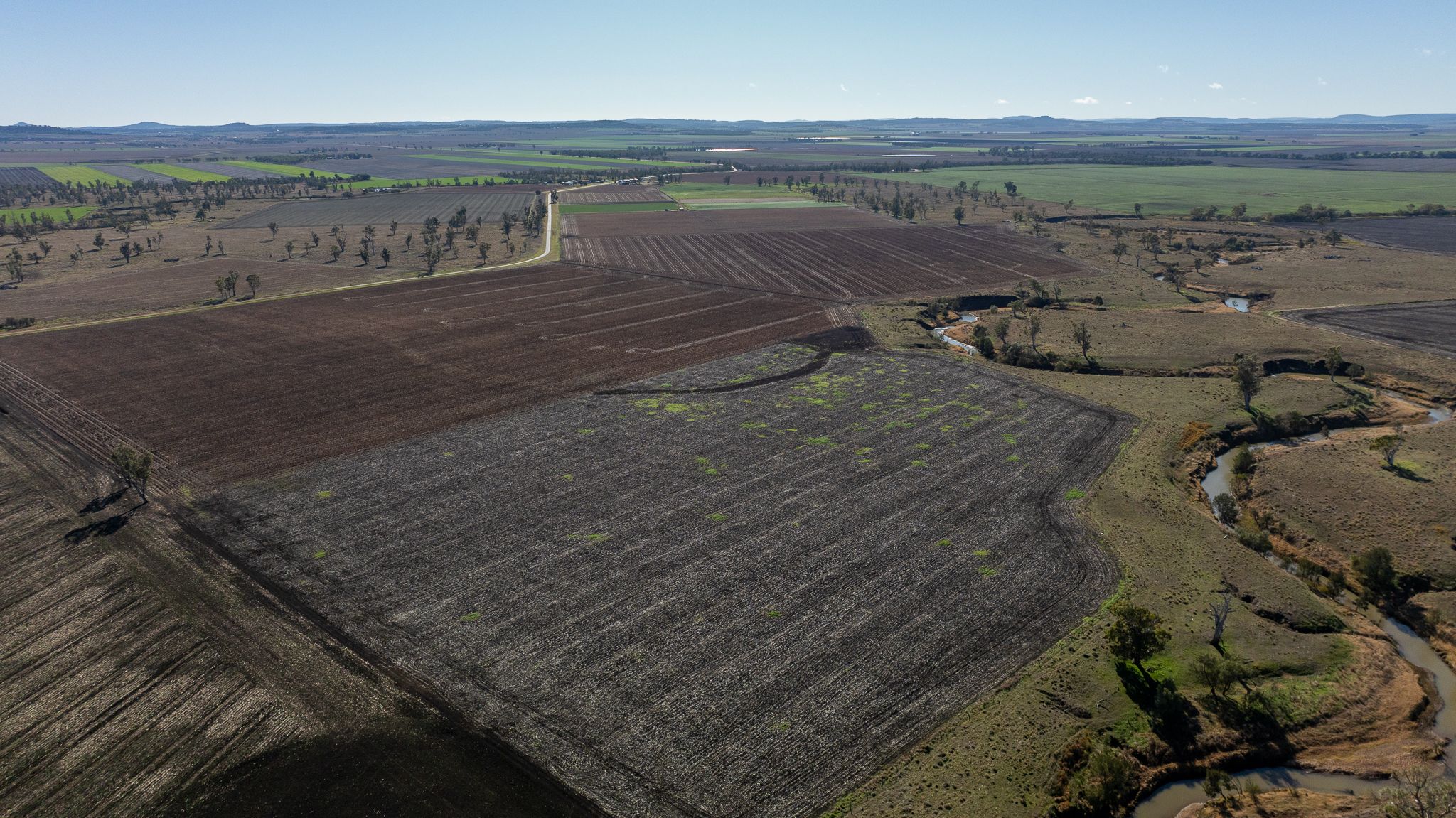 Ray White Rural Toowoomba