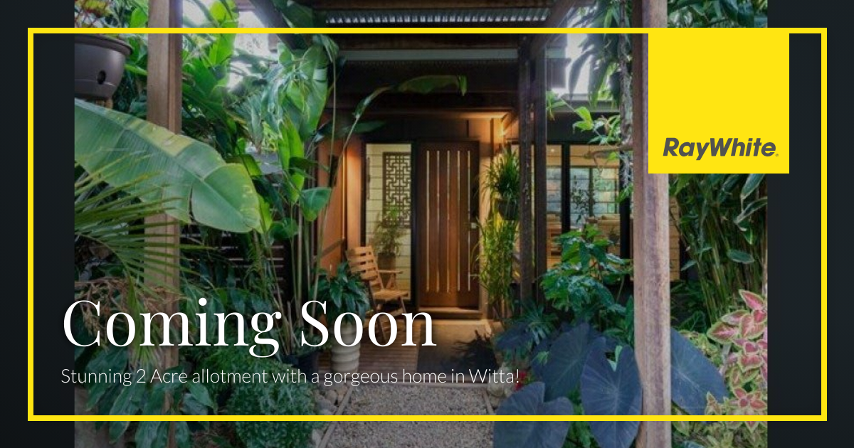 21 Gemelle Court, Witta, QLD 4552 - House for Sale - Ray White Maleny