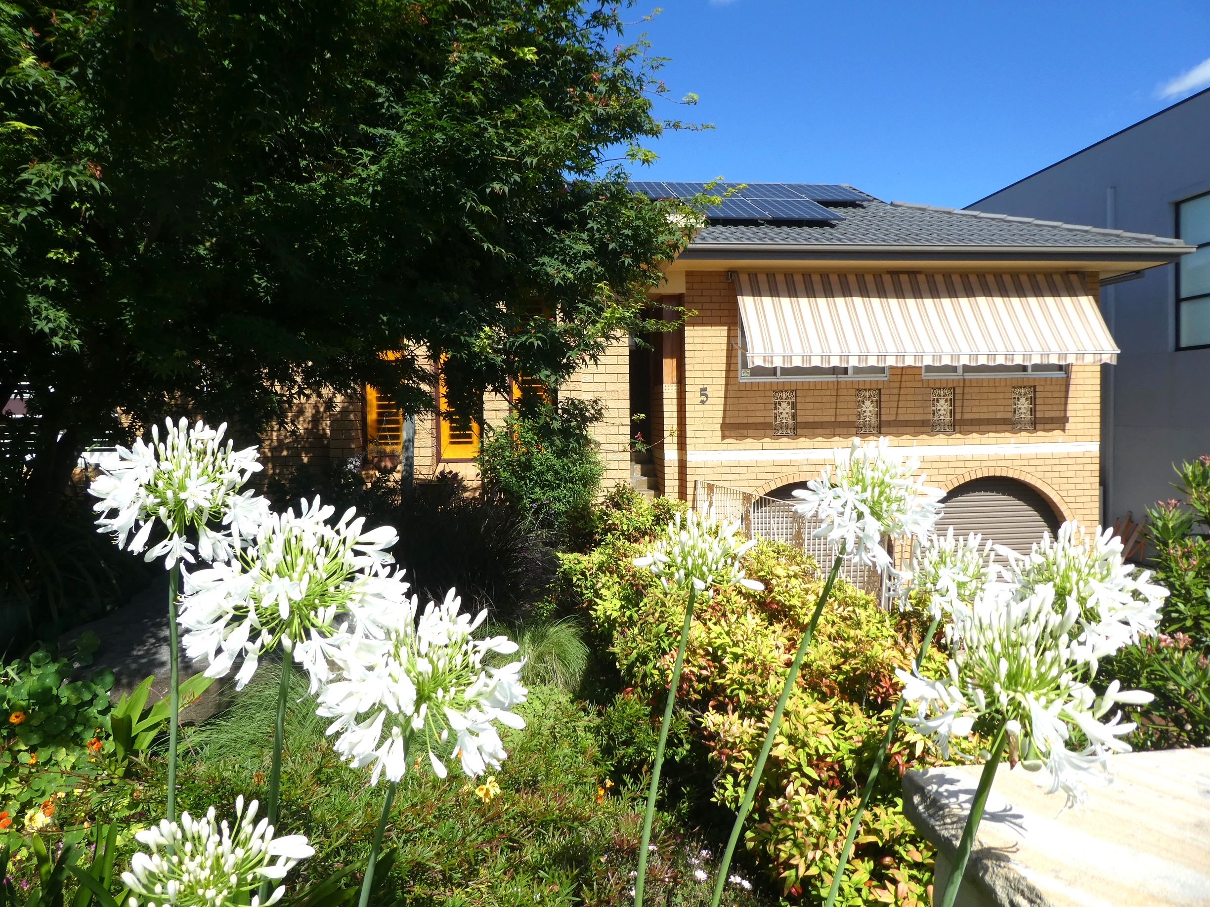 5 Kalyan Avenue, Bradbury, NSW 2560 - Sold House - Ray White Macarthur ...