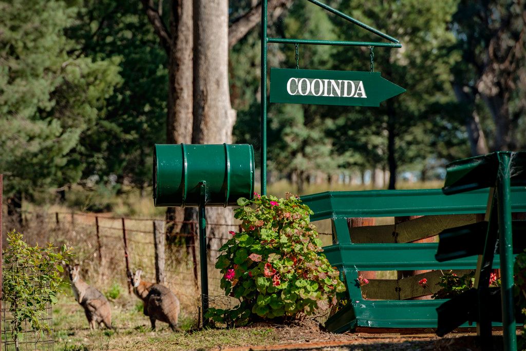 "Cooinda" - 836 Warrah Ridge Road, Willow Tree, NSW 2339 - Sold Rural ...