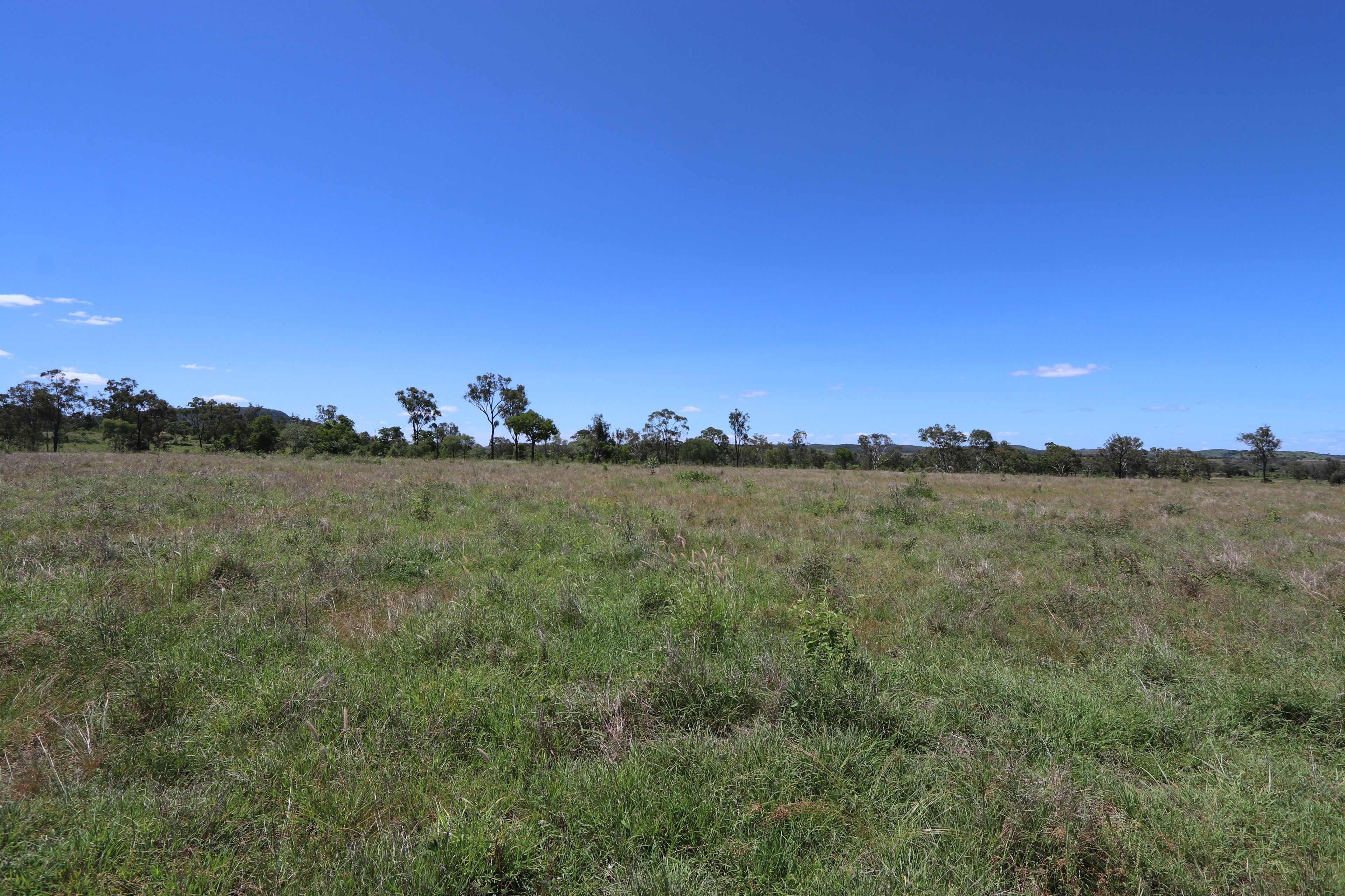 92 Weale Creek Road, Dalma, QLD 4702 - Rural Property for Sale - Ray ...
