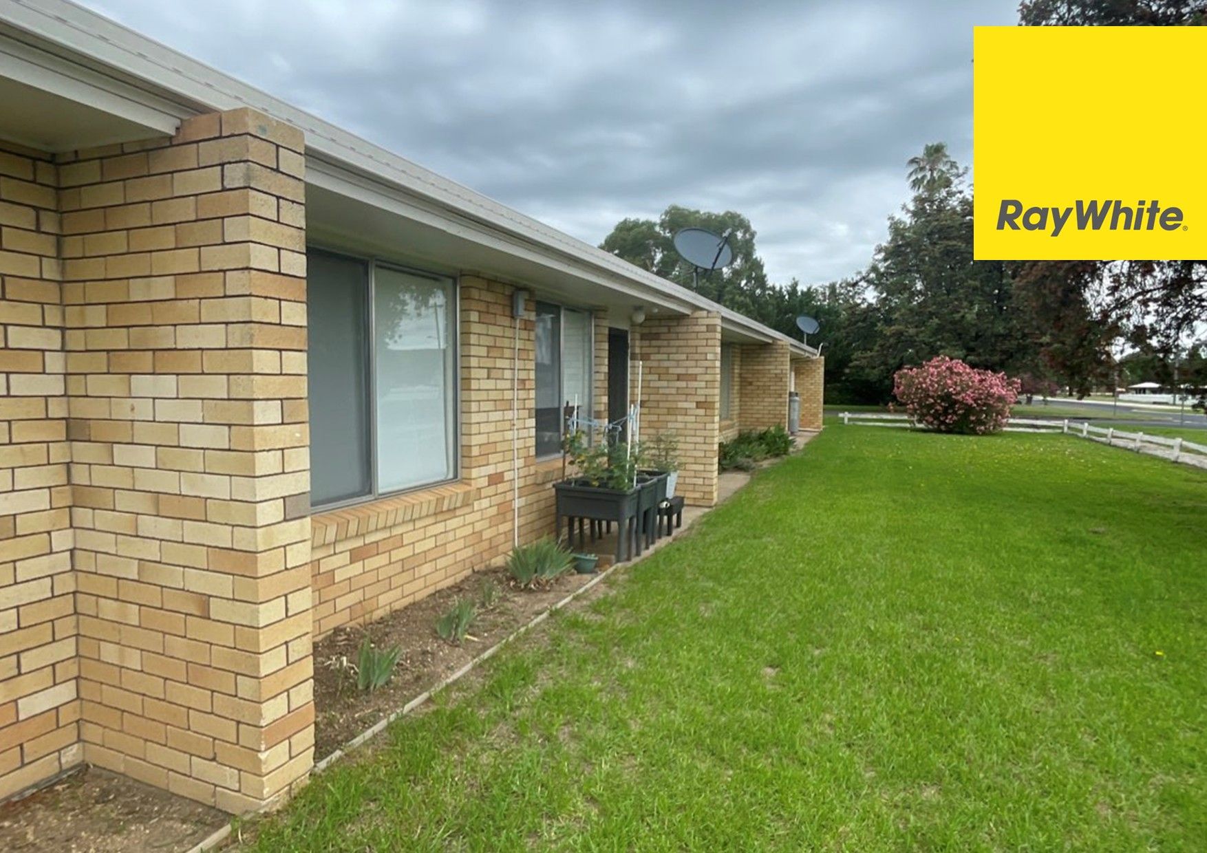 3/84 Lawrence Street, Inverell, NSW 2360 - Unit for Rent - Ray White ...