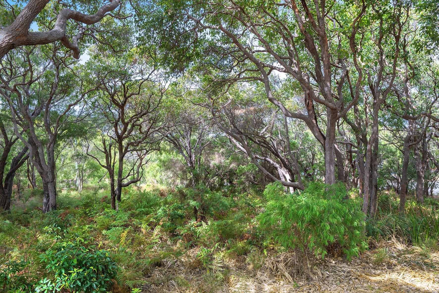 2 Ellis Street, Augusta, WA 6290 - Land for Sale - Ray White Stocker ...