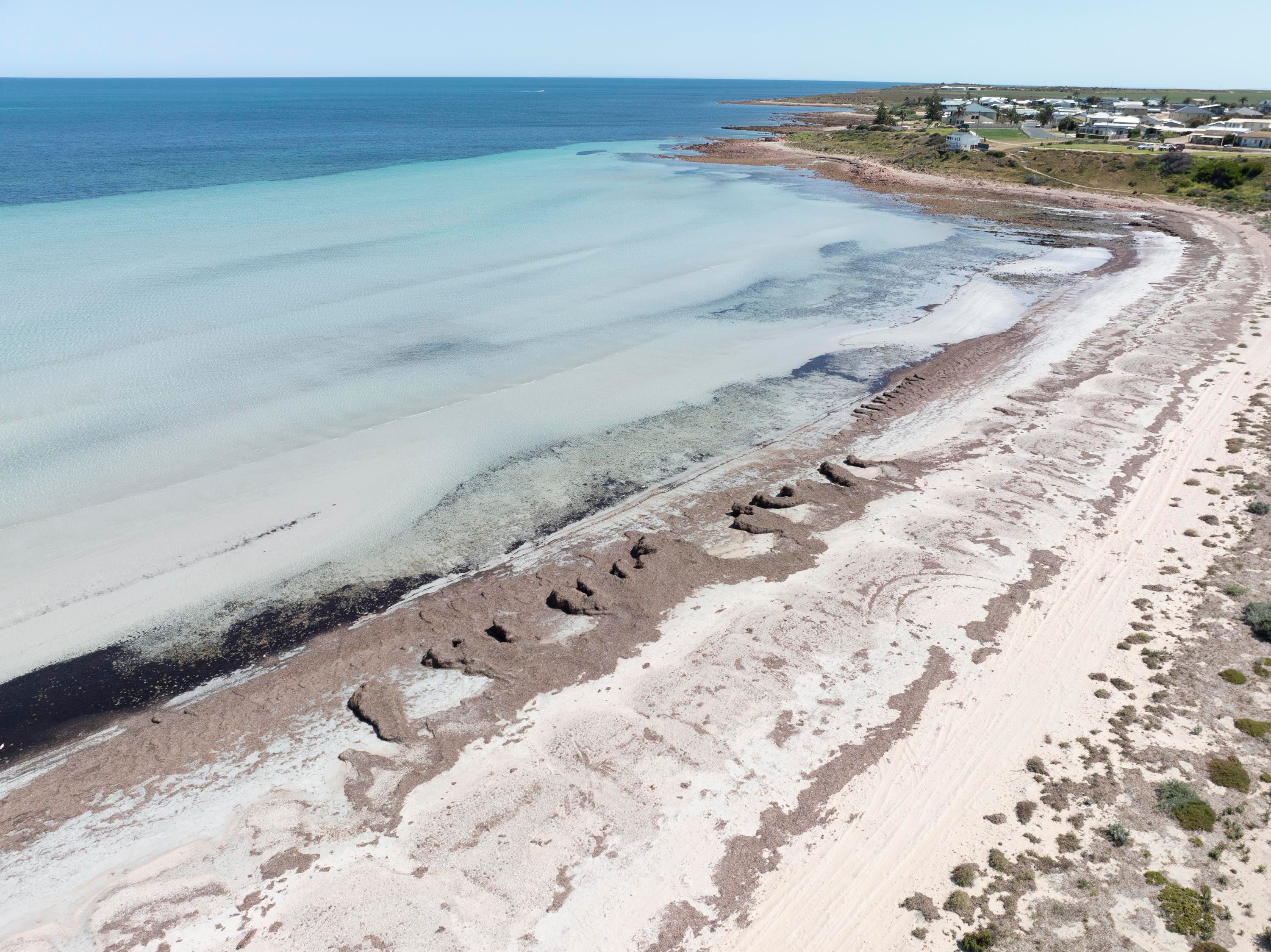 Lot 31 Copper Sands, North Beach, SA 5556 - Land for Sale - Ray White ...