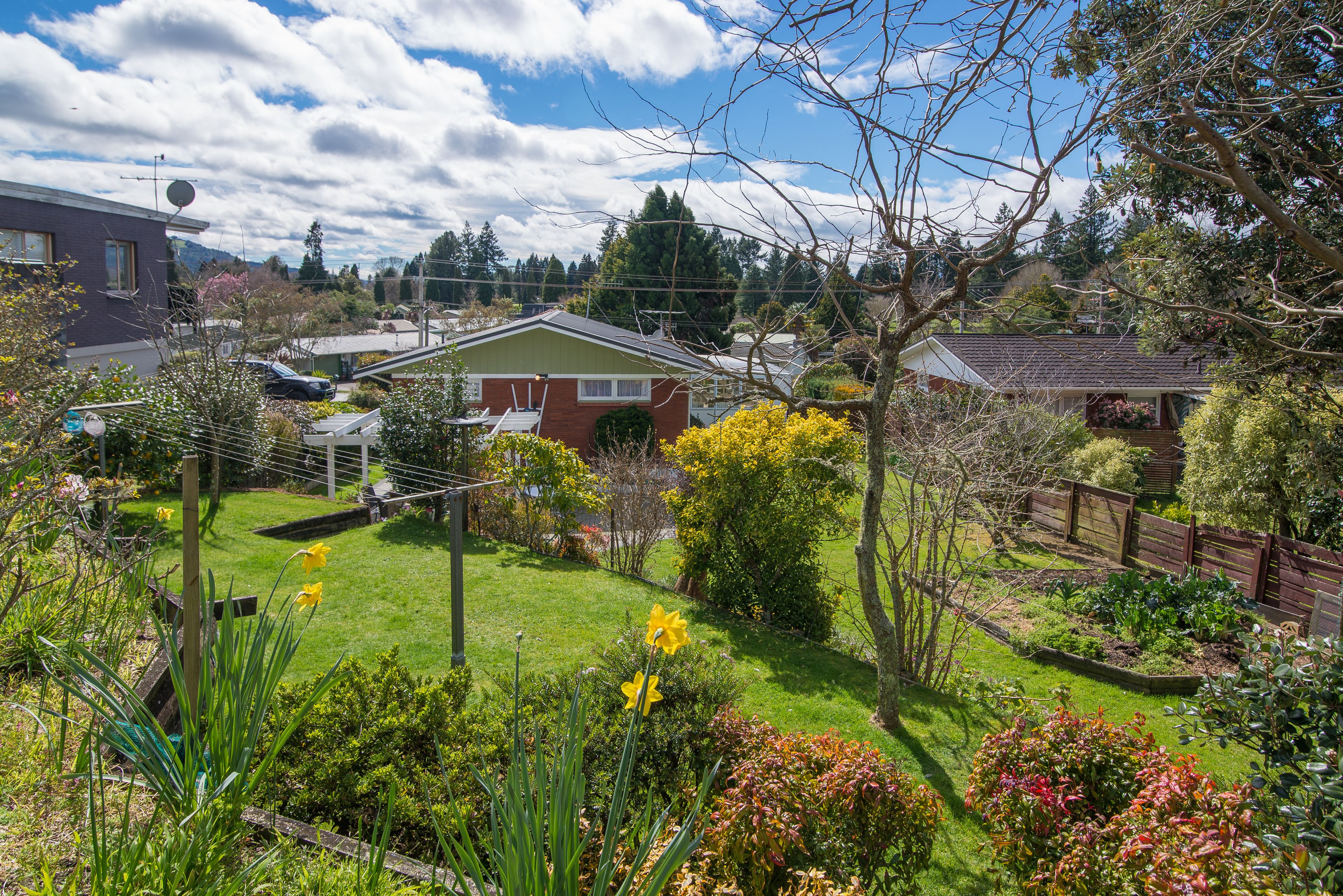 Ray White Rotorua