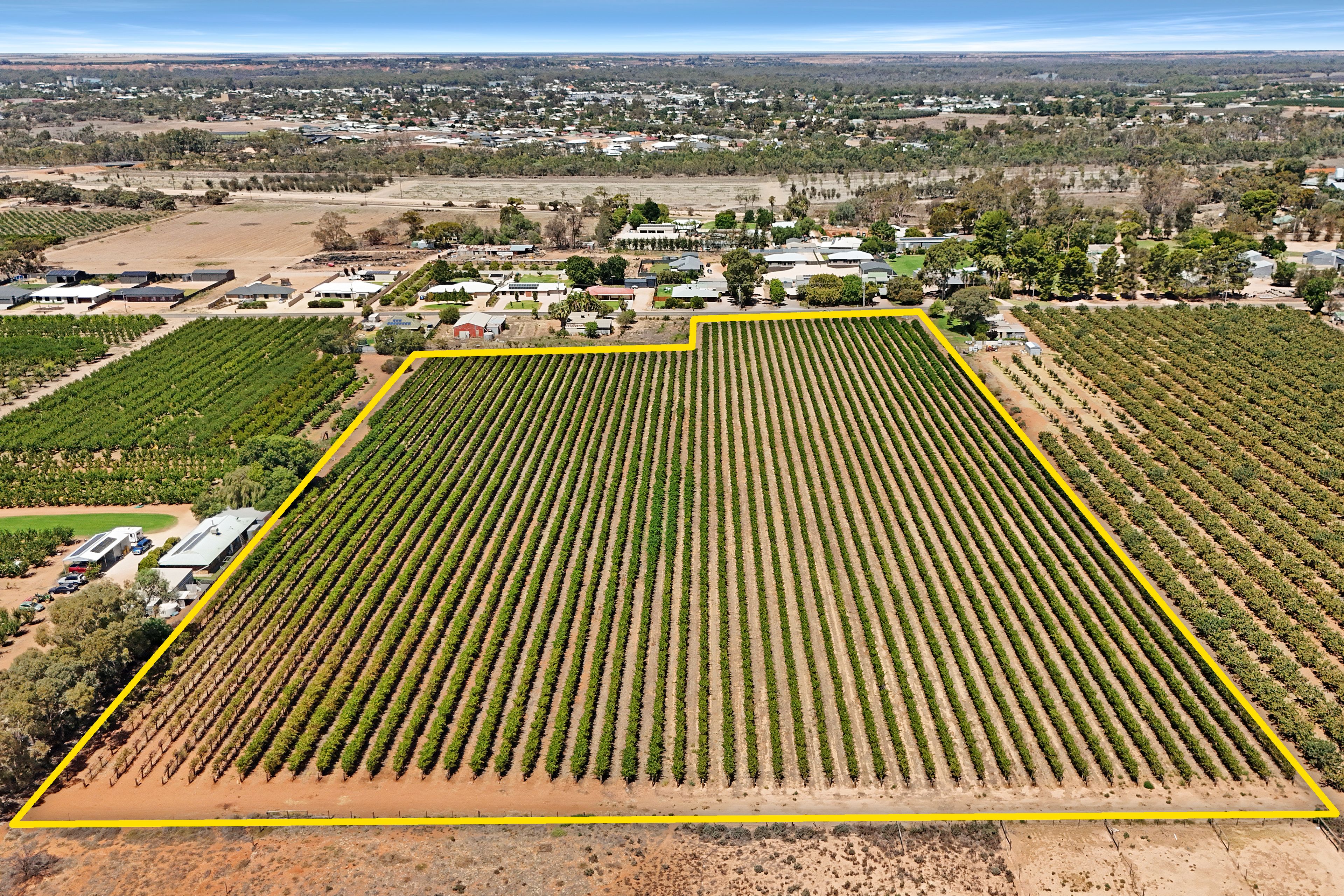 Properties in Renmark - Ray White Riverland