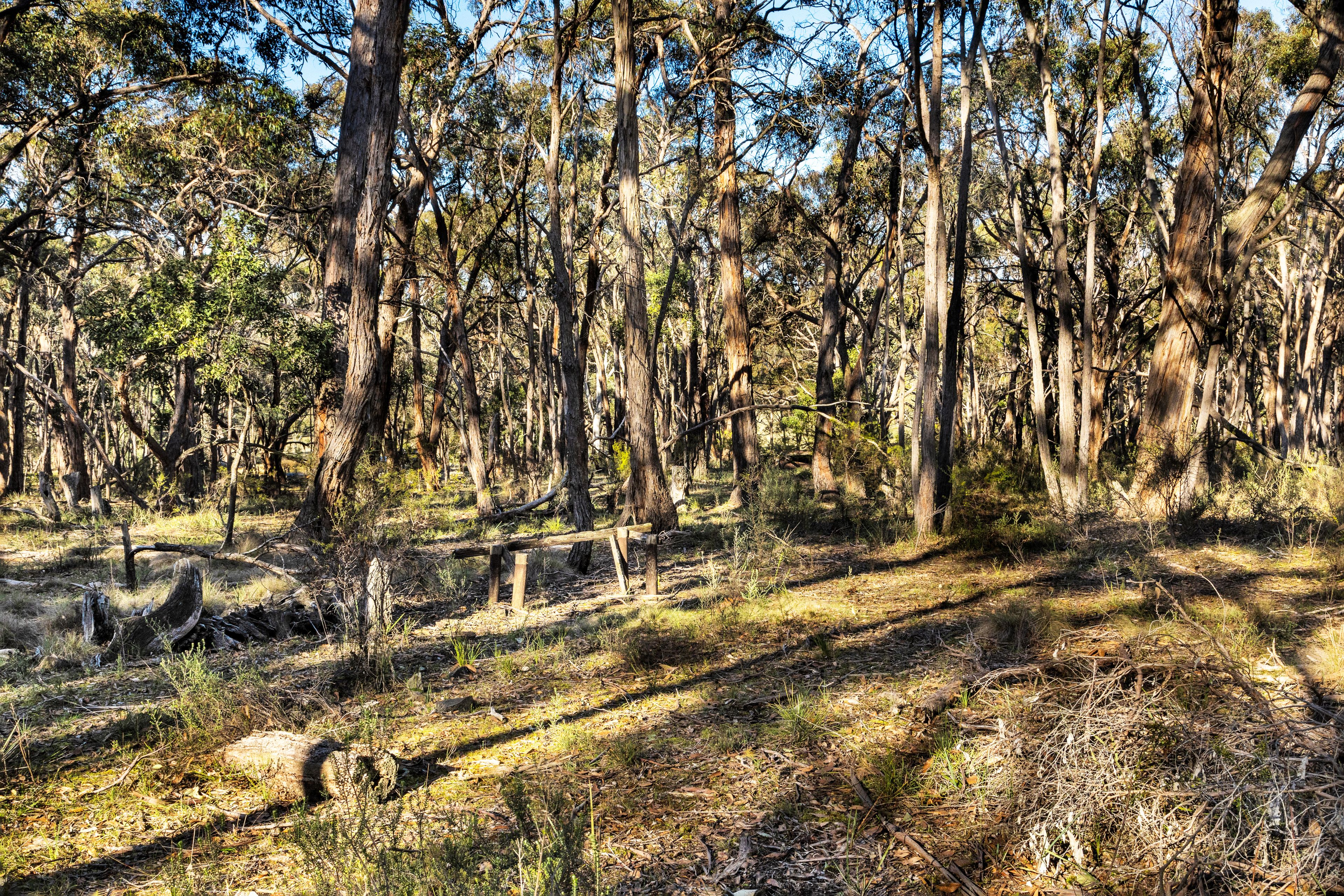 191 Baldwins Road, Trawalla, VIC 3373 - Land for Sale - Ray White Ballarat