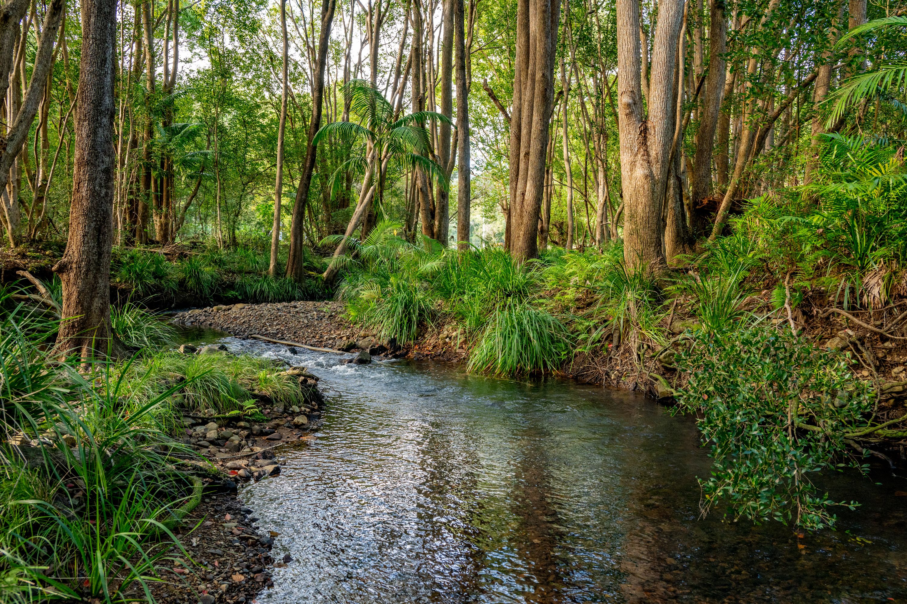 "Rowesdale " - 21 Rowe Lane, Cedar Creek, QLD 4207 - Sold Rural ...