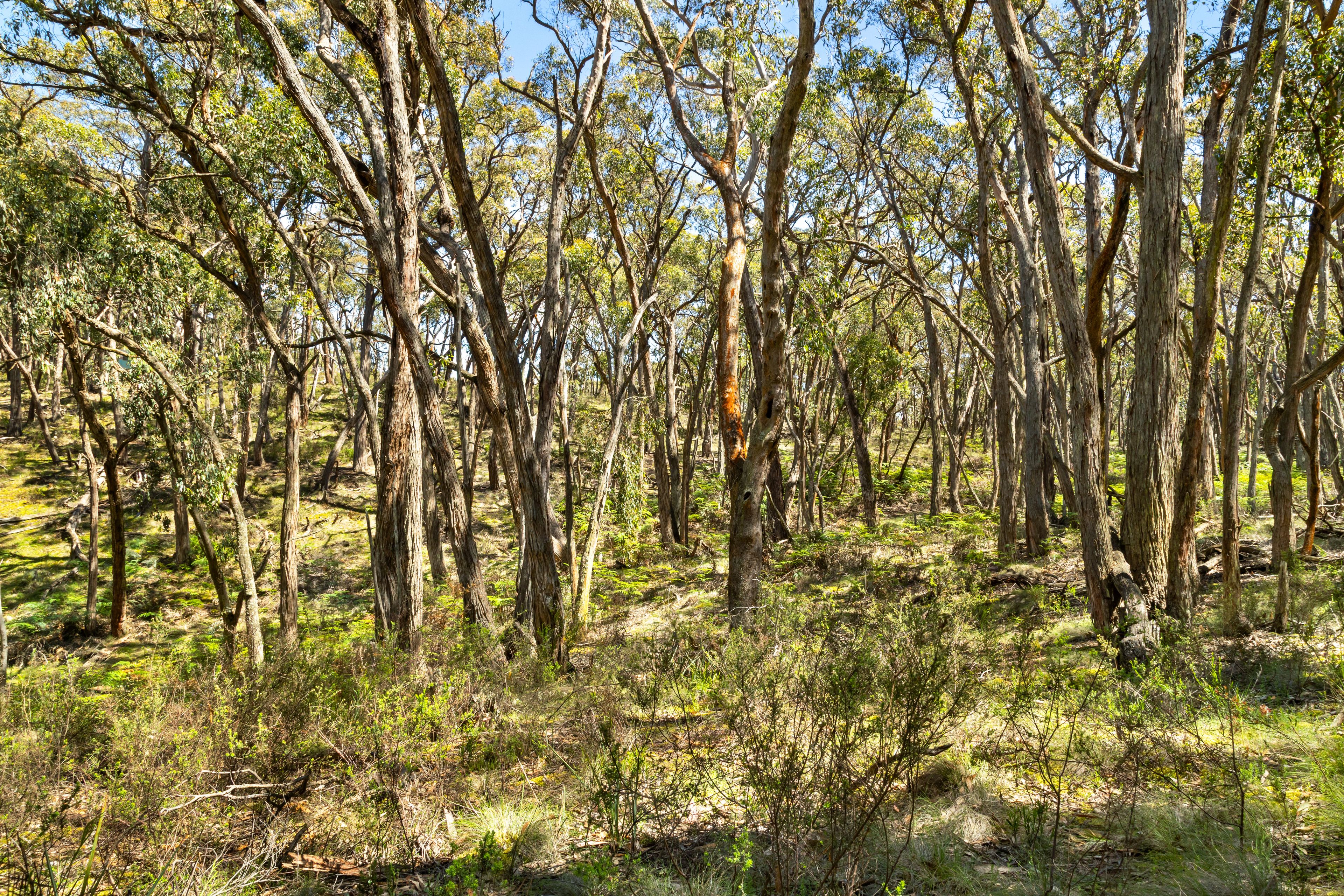 Lot 12 Rowlers Road, Snake Valley, VIC 3351 - Land for Sale - Ray White ...
