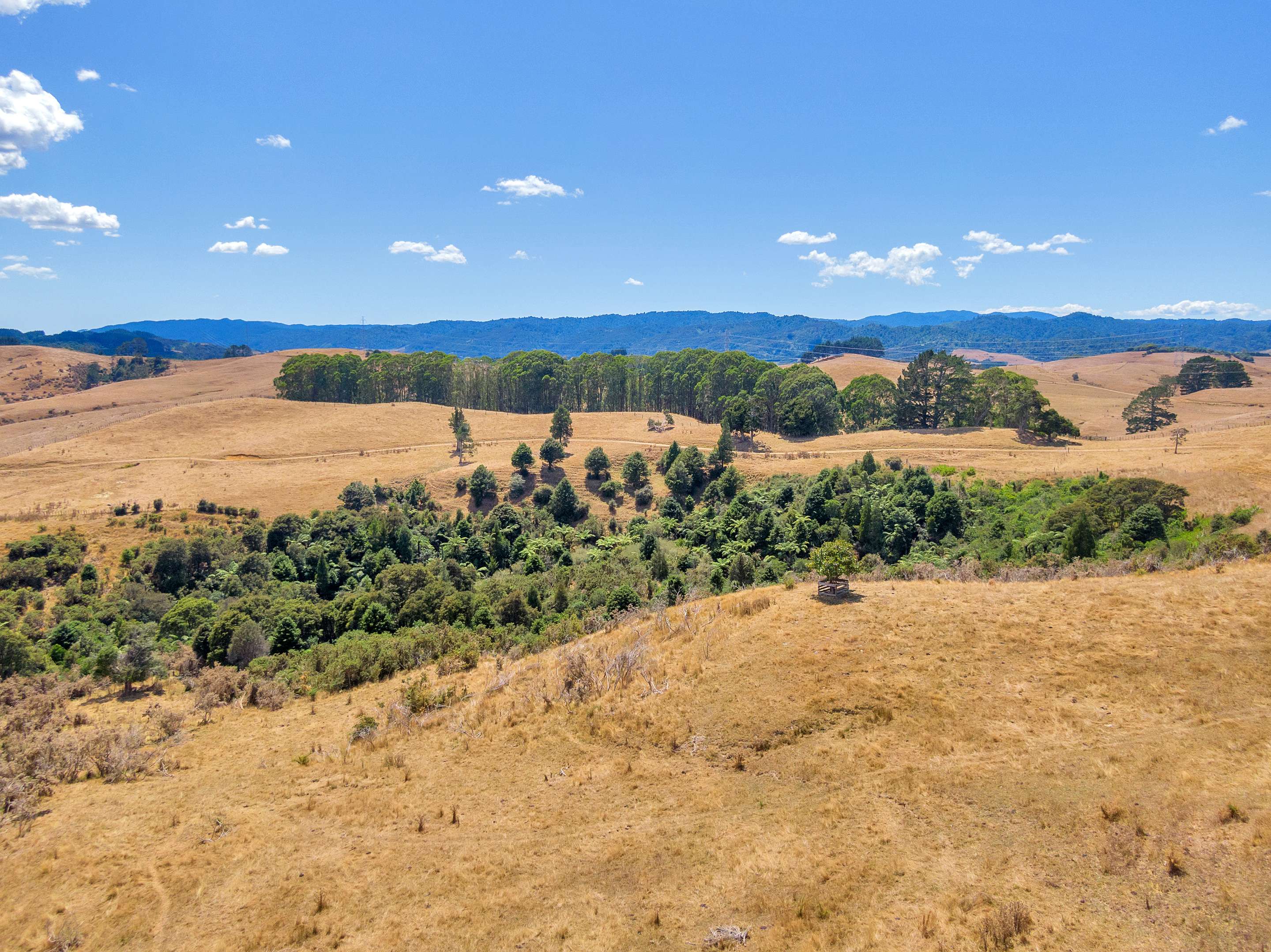 1323 Ararimu Road, Ararimu, Franklin | Real Estate | Ray White New Zealand