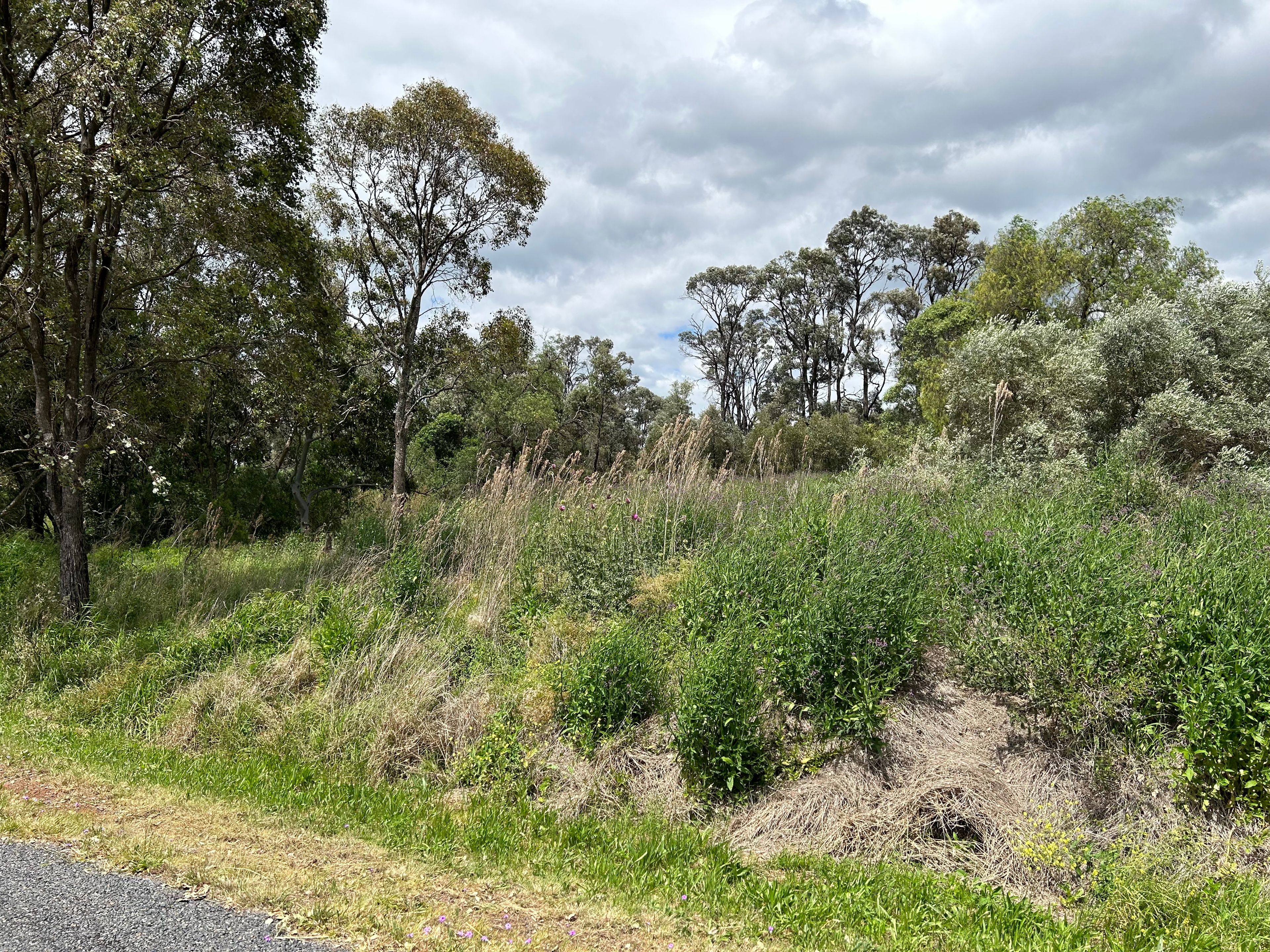 Lot 279 Brigalow Park School Road, MOUNT DARRY, QLD 4352 - Sold Land ...