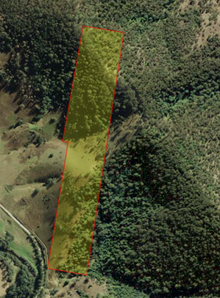 4250 Nowendoc Road, Number One, NSW 2424 - Sold Rural Mixed Farming ...