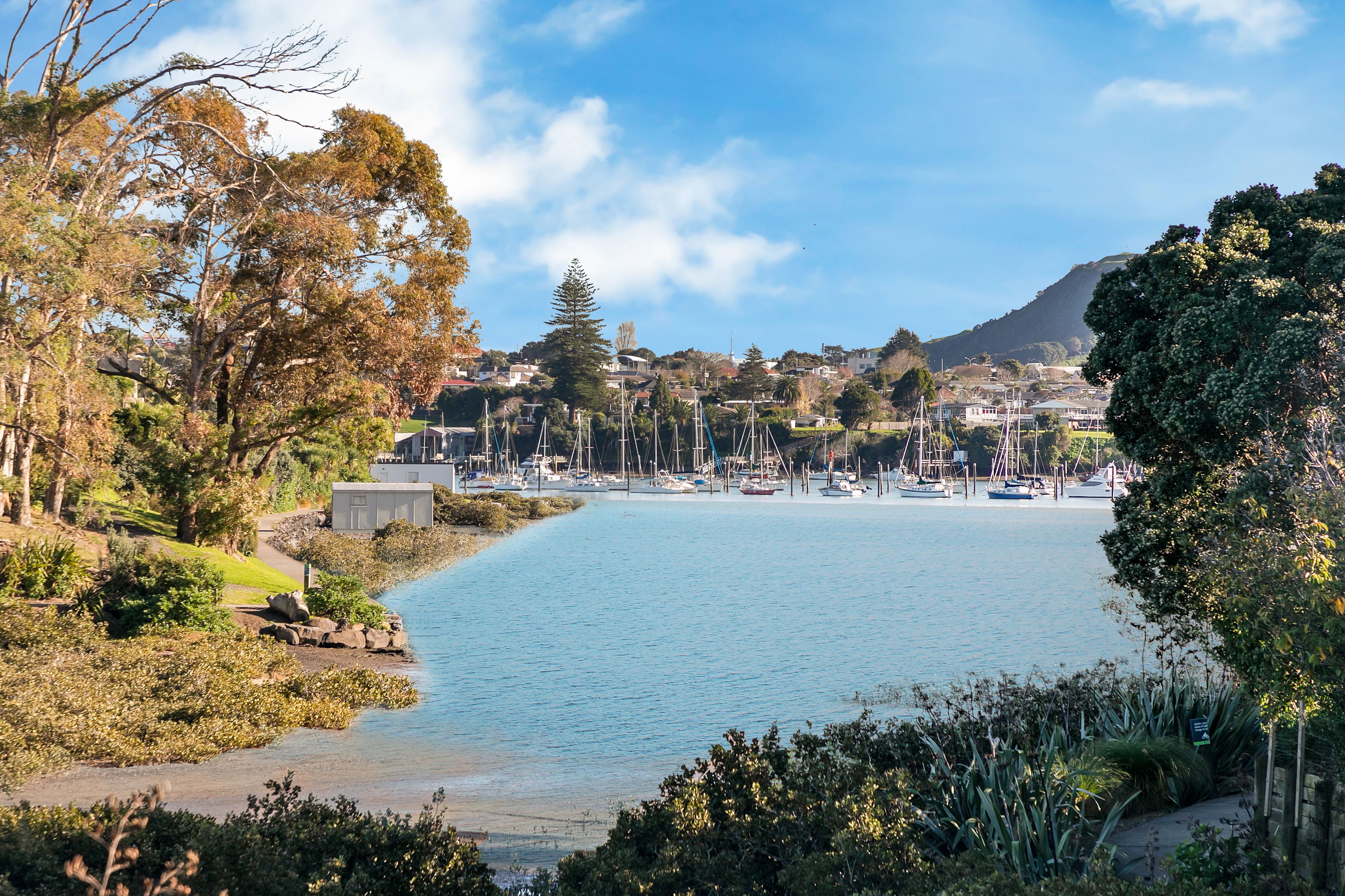 36A Kentigern Close, Pakuranga, Manukau City 2010 - Sold Unit - Ray ...