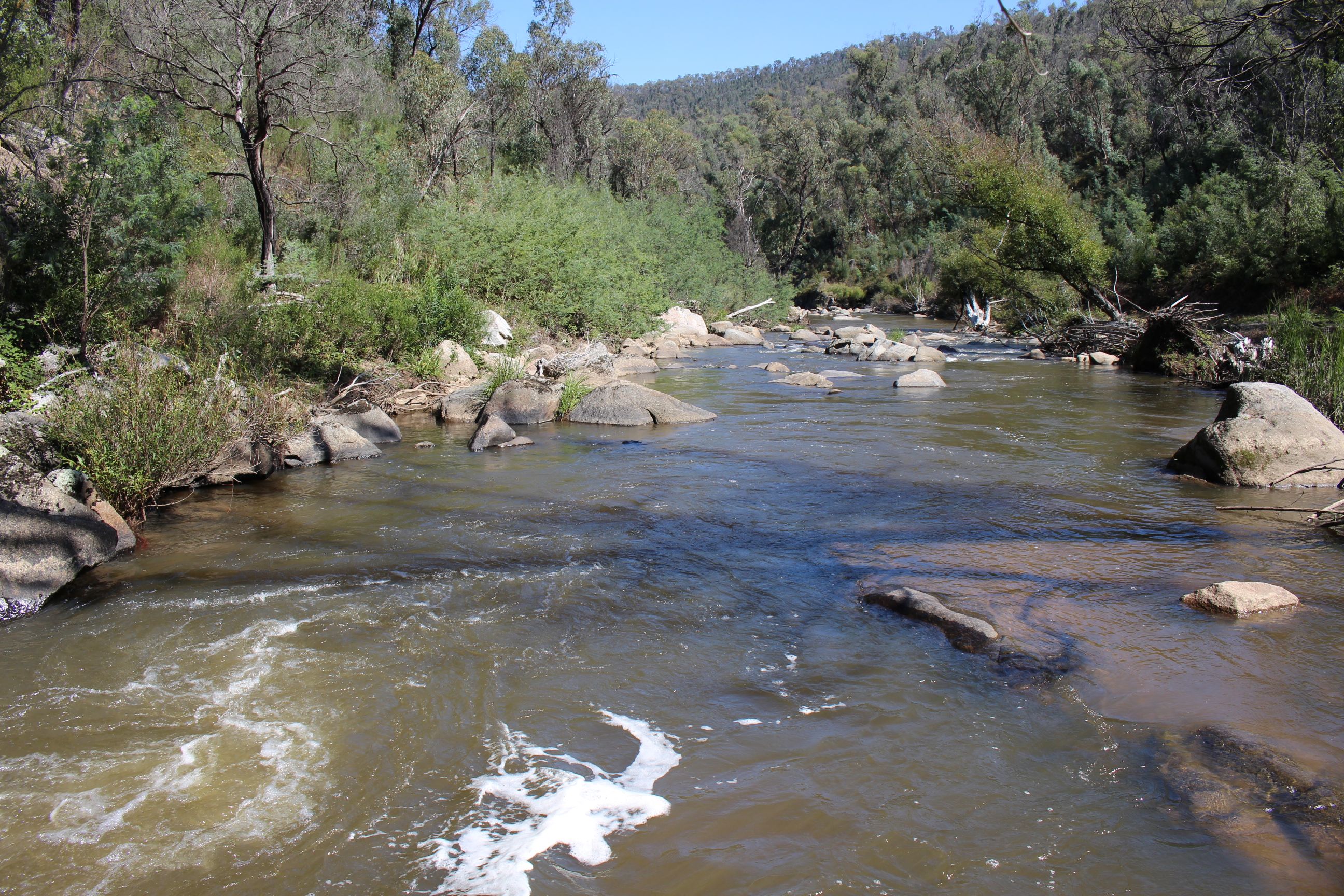 Lot 1-3 Tumbarumba Creek Road, Tooma, NSW 2642 - Sold Rural Lifestyle ...