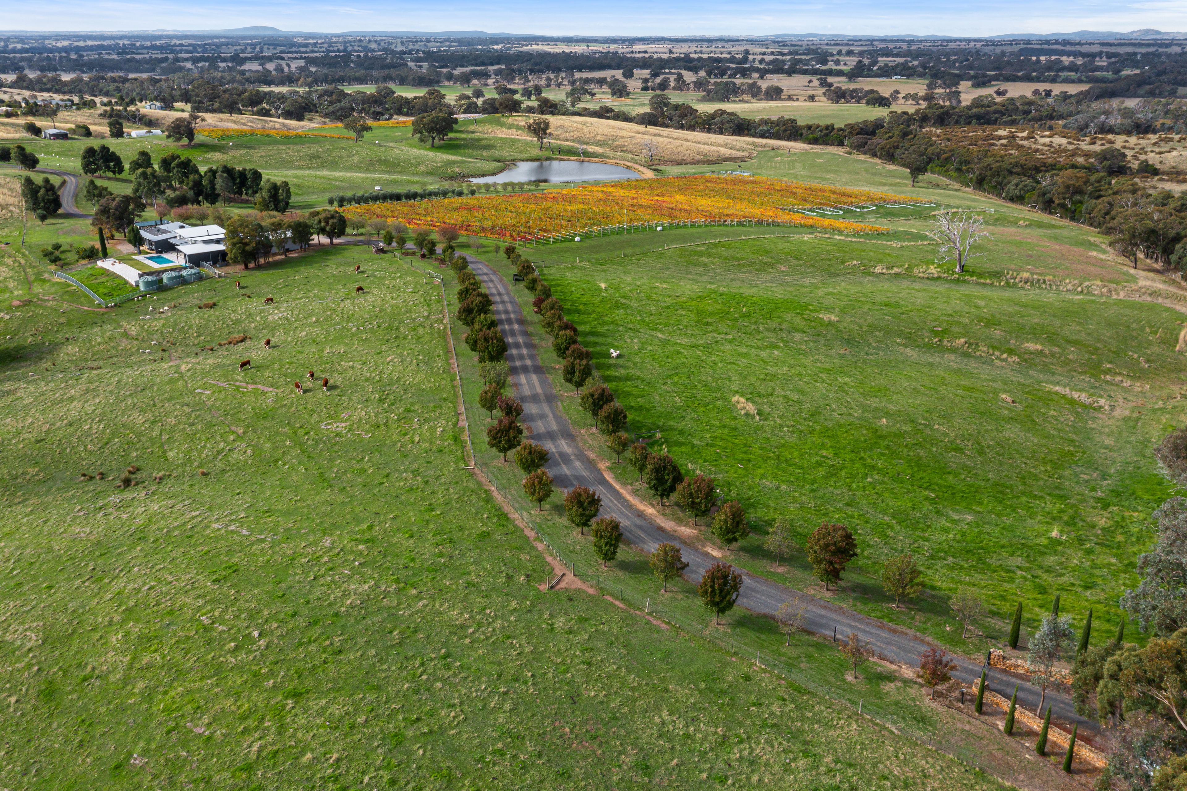 843 Metcalfe-Redesdale Road, Redesdale, VIC 3444 - Sold Rural Lifestyle ...