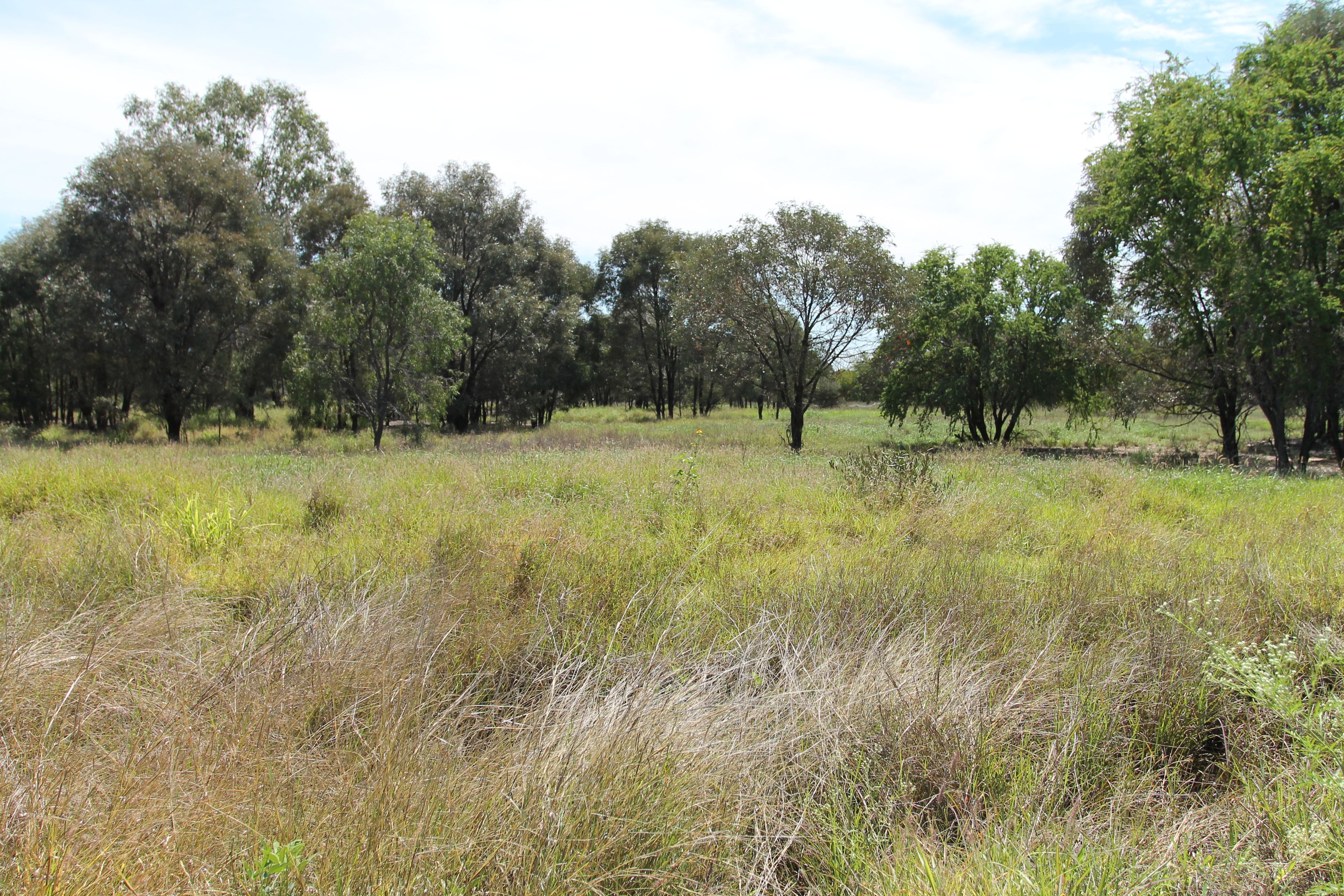 "Emerald Farms" - Lot 6 & 6A/0 Fairbairn Dam Road, Emerald, QLD 4720 ...