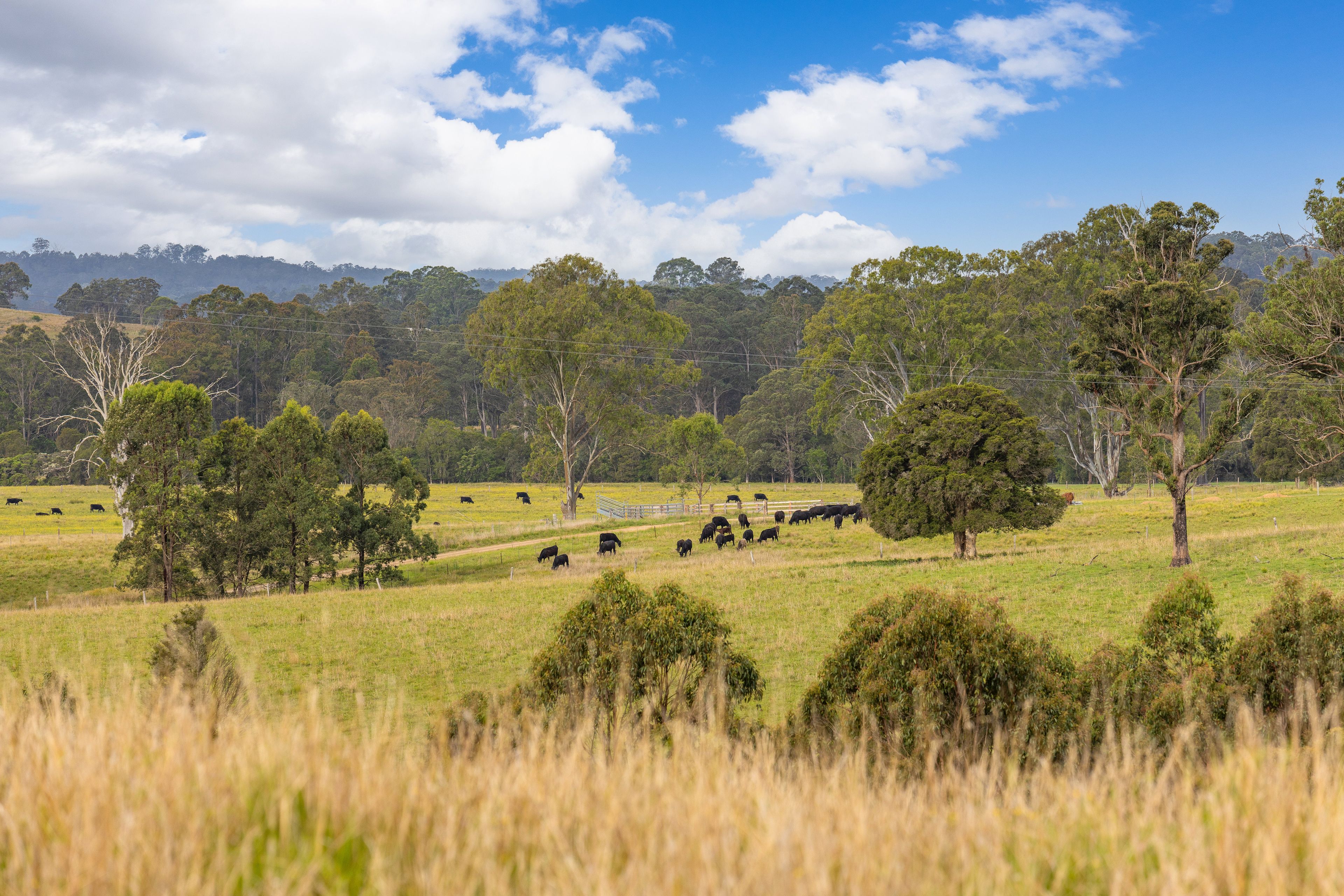 Ray White Manning Valley