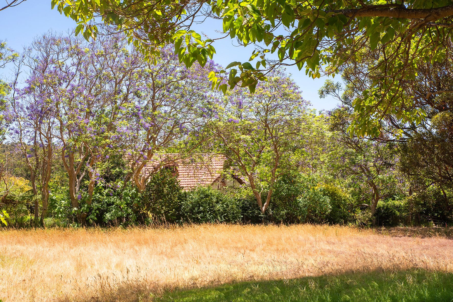 20 Tunbridge Street, Margaret River, WA 6285 - Sold Land - Ray White ...