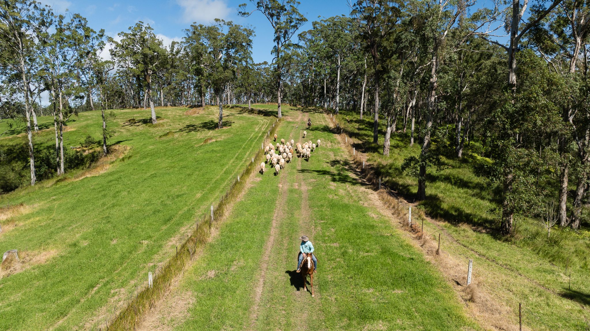 624 Deer Vale Road, Fernbrook, NSW 2453 - Sold Rural Property - Ray ...