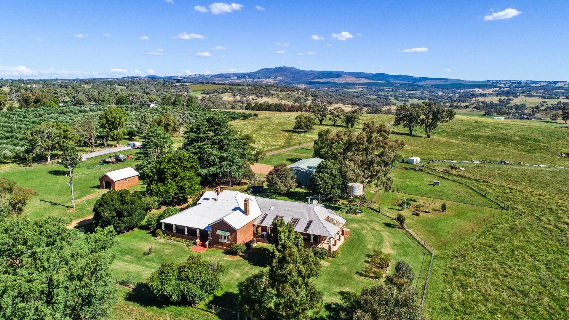 1549 The Escort Way, Orange, NSW 2800 - Leased Acreage/Semi-Rural - Ray ...