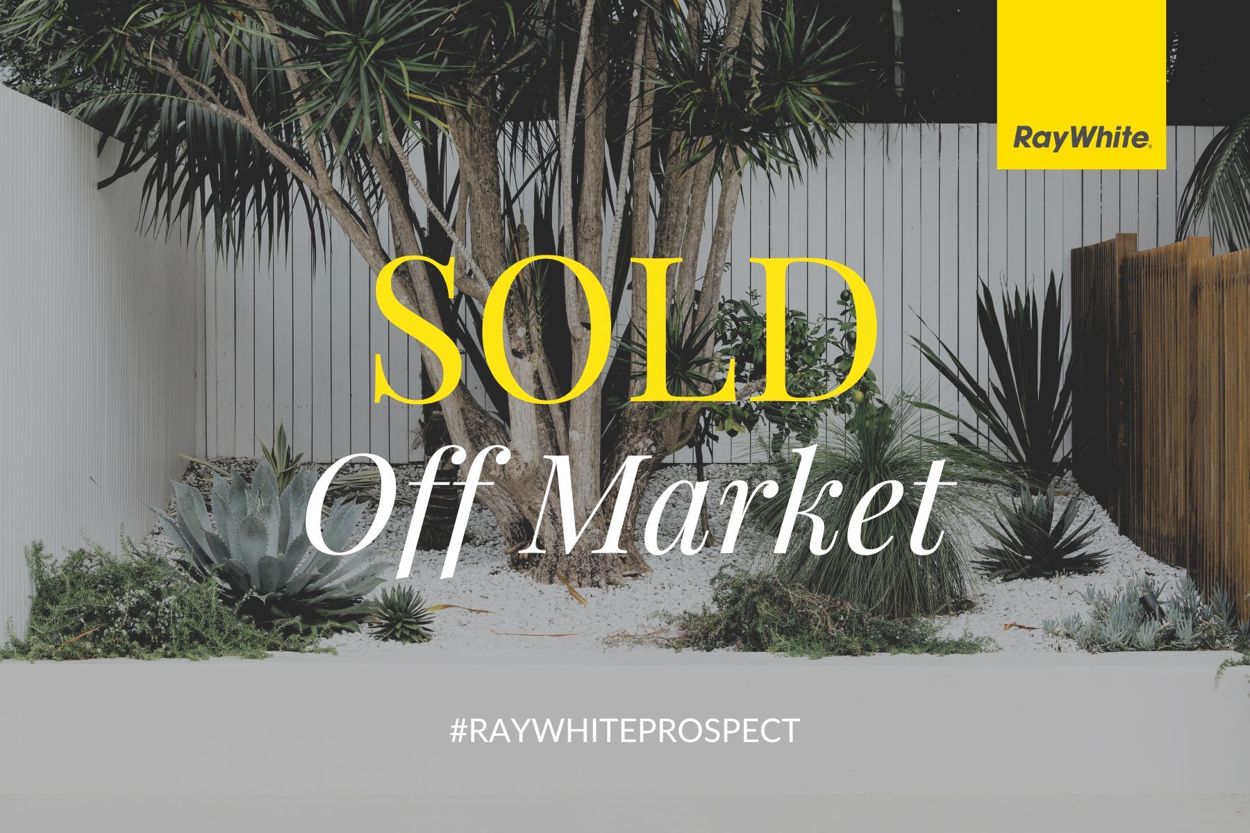 Ray White Prospect